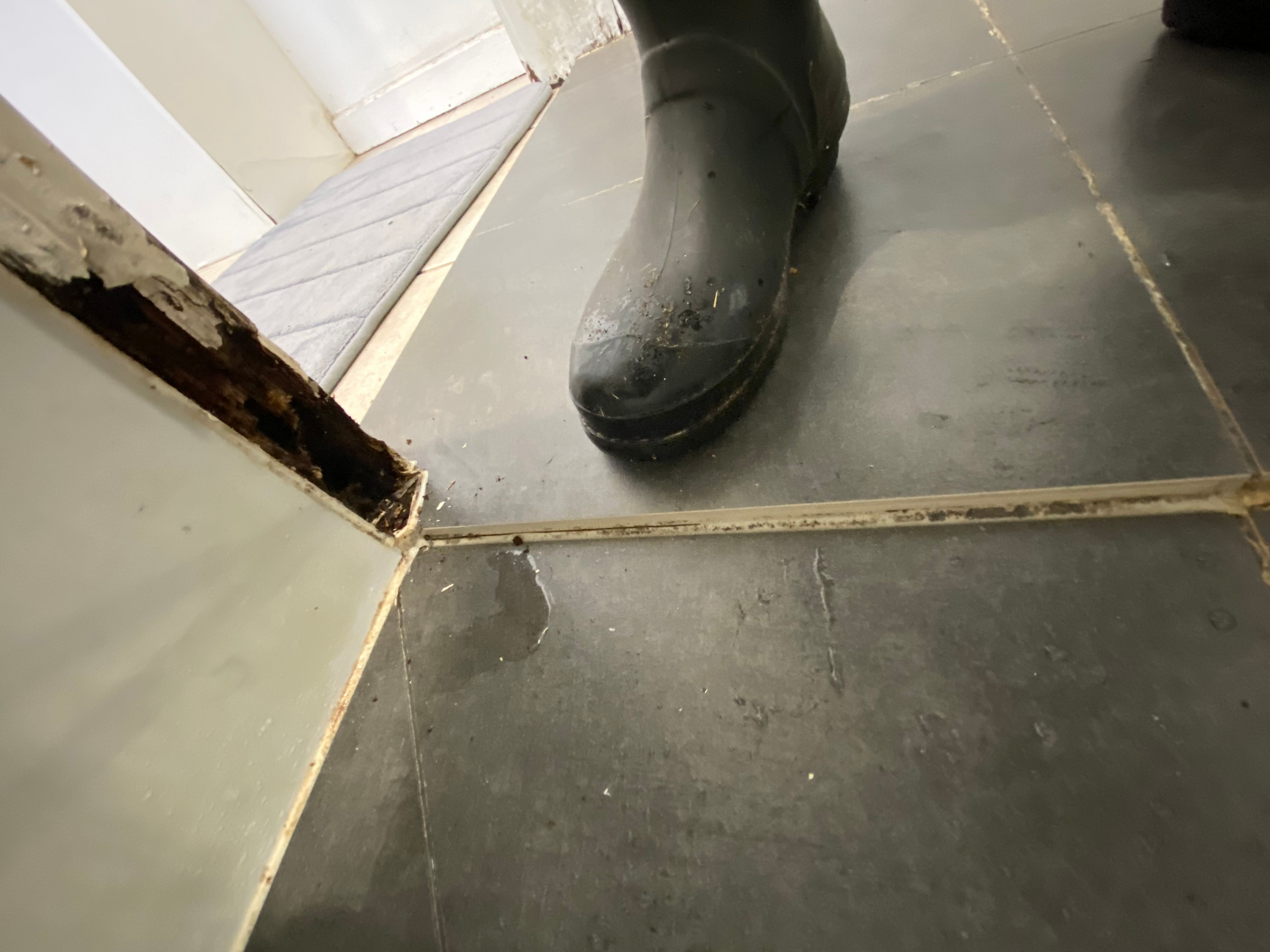 How to repair rotted wood and waterproof... | Bunnings Workshop community