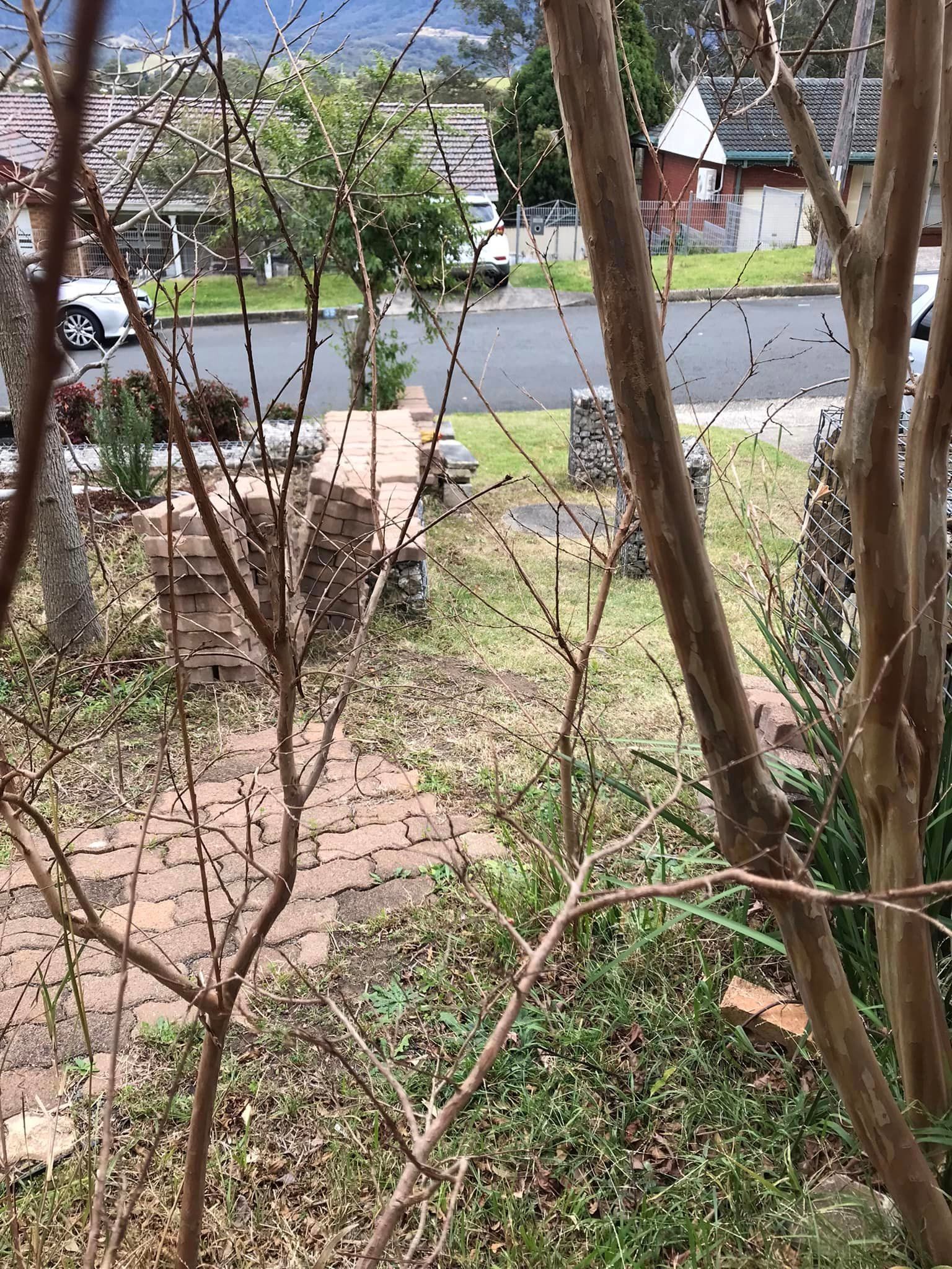 Wiggly pavers for sloped path in front y... | Bunnings Workshop community
