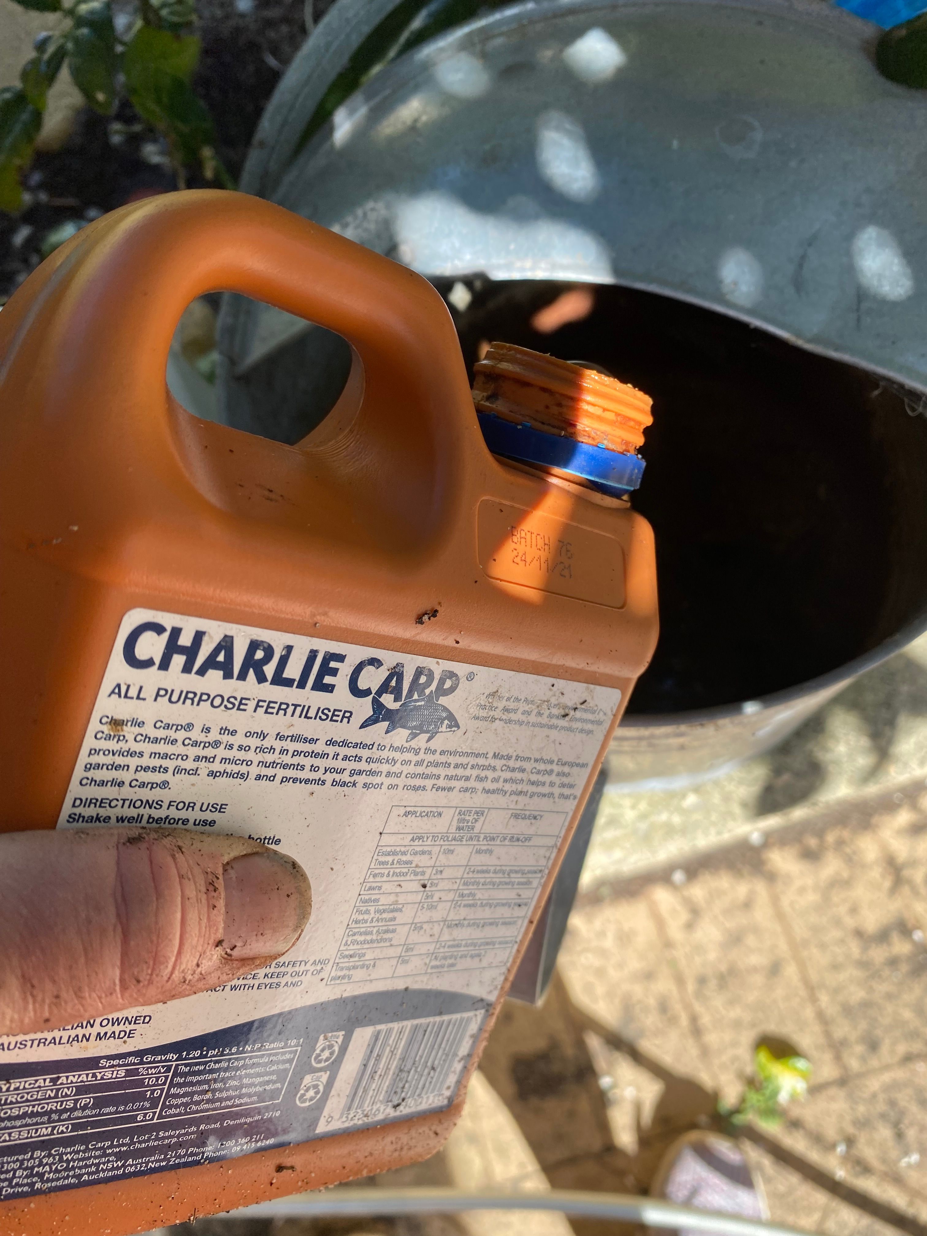 Turn sandy patch into fertile soil | Bunnings Workshop community