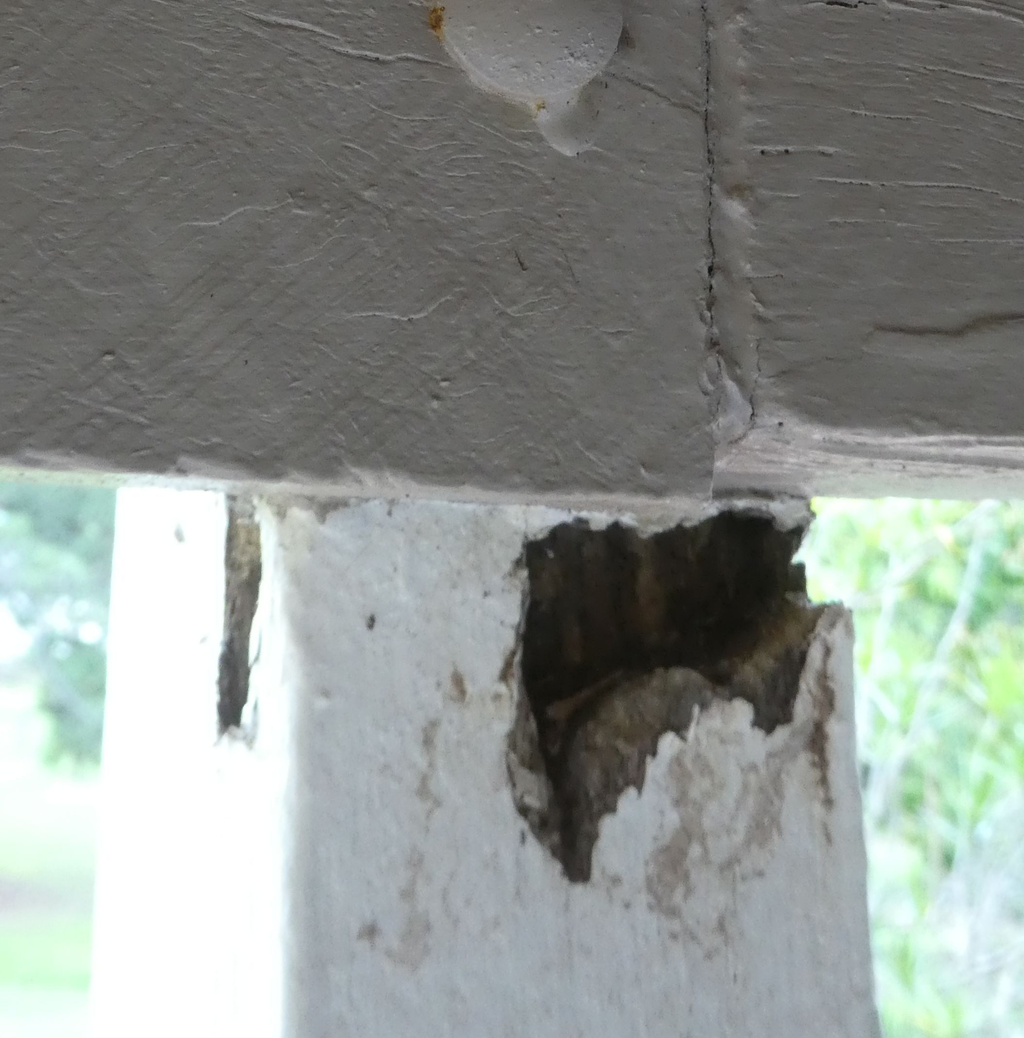 How to repair a rotted verandah post? | Bunnings Workshop community