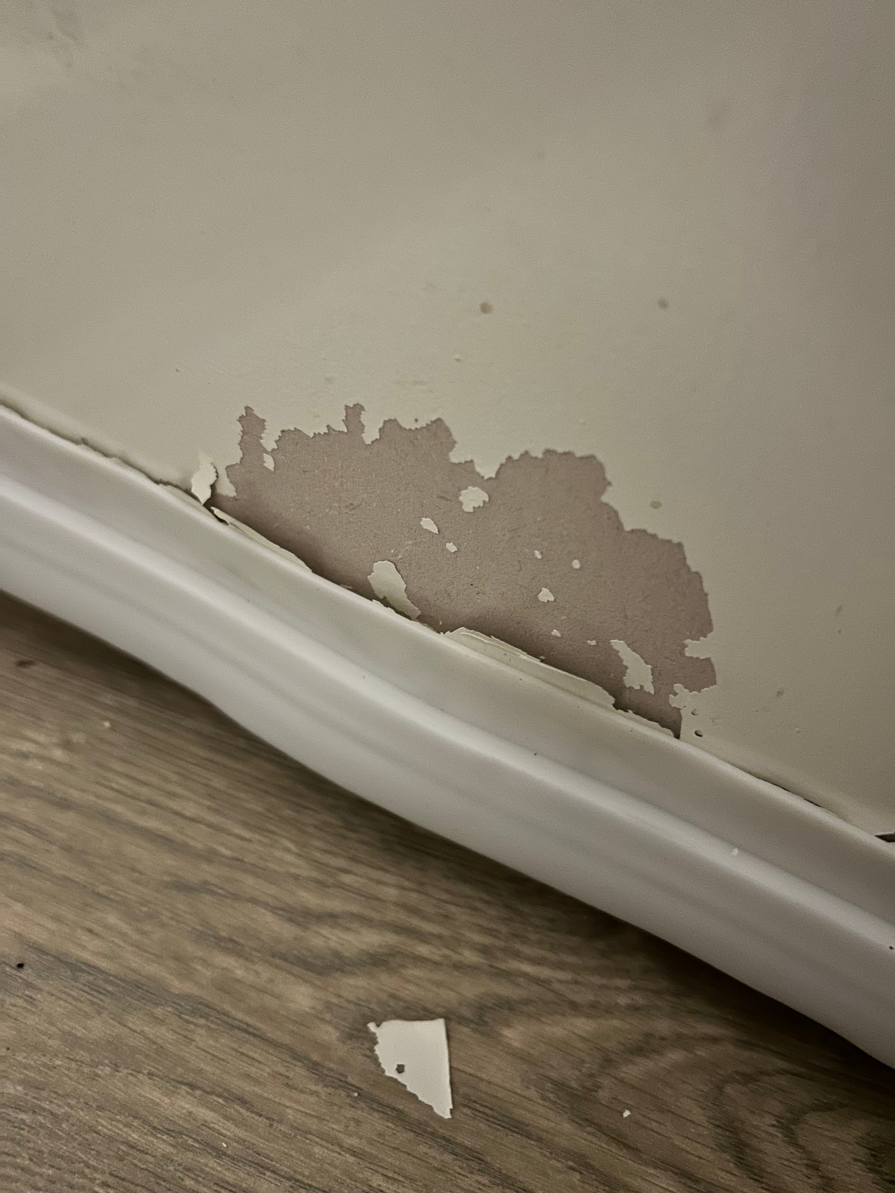 How to fix flaking paint on door? | Bunnings Workshop community
