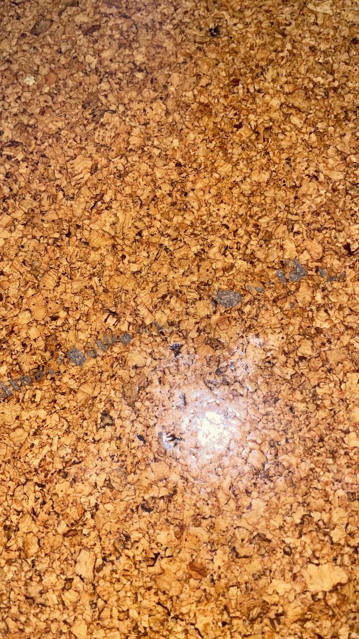 How to fix scratch in surface of cork ti... | Bunnings Workshop community