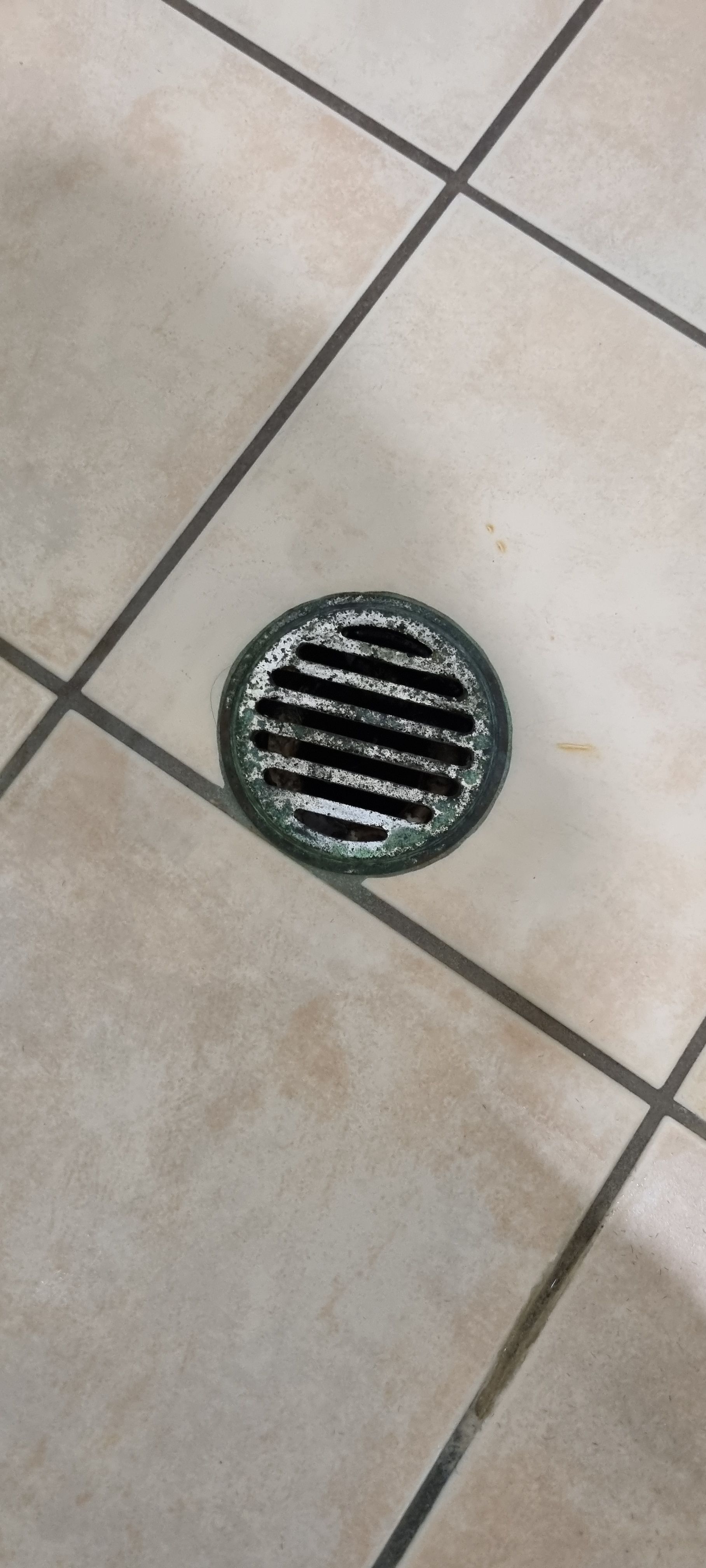 How to paint a shower grate? | Bunnings Workshop community