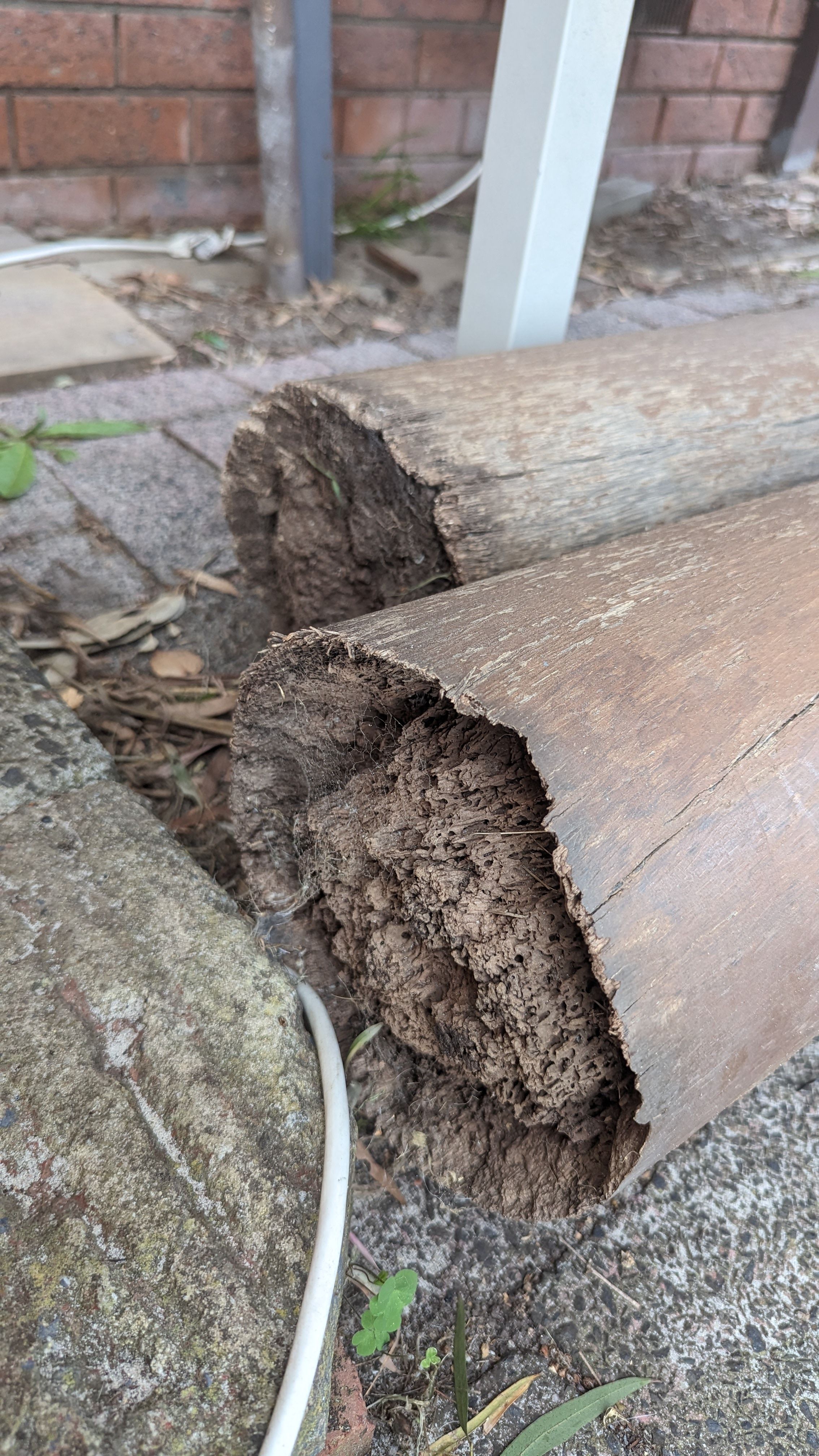 How to treat rotting Bali hut posts? | Bunnings Workshop community