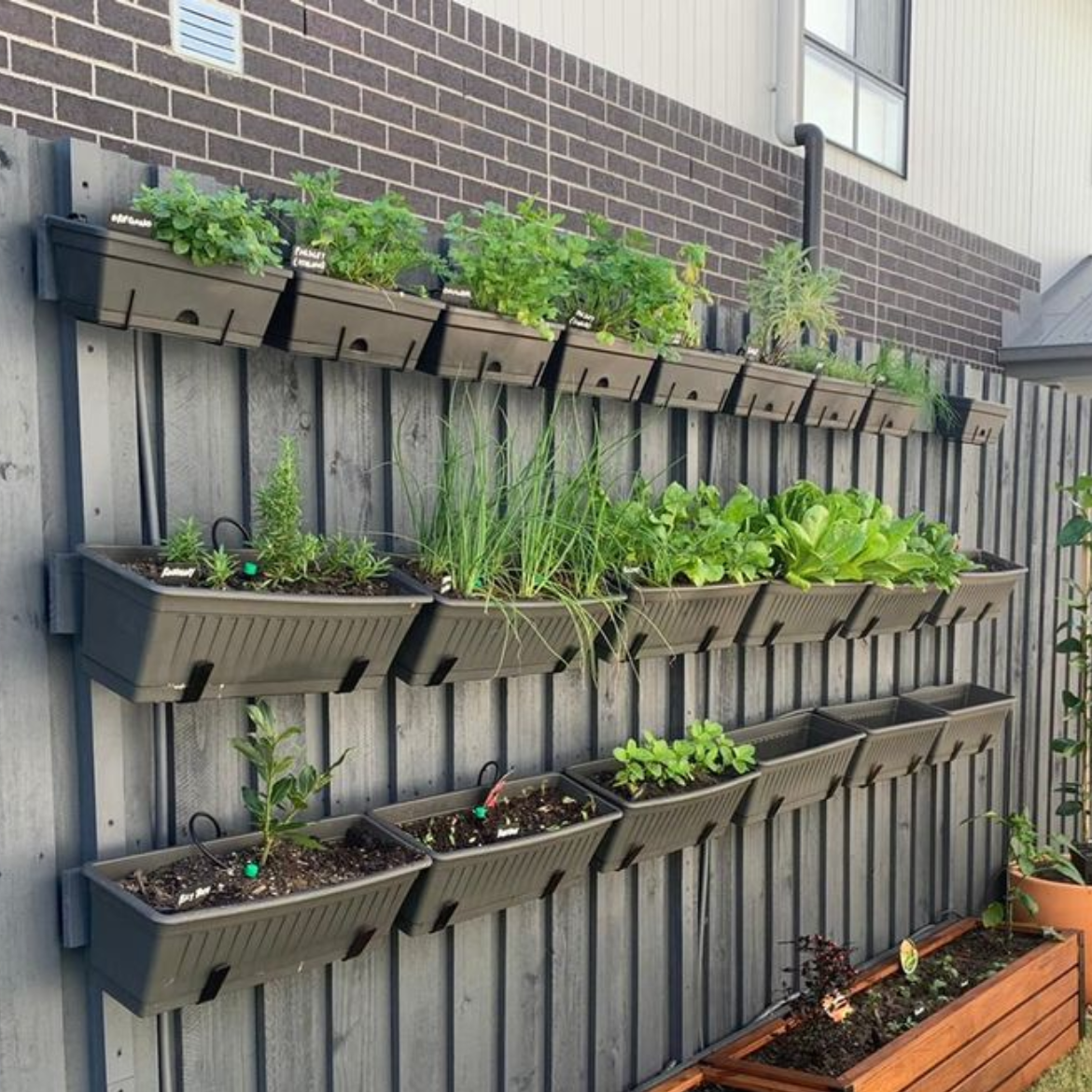 Top 10 most popular vertical garden proj... | Bunnings Workshop community