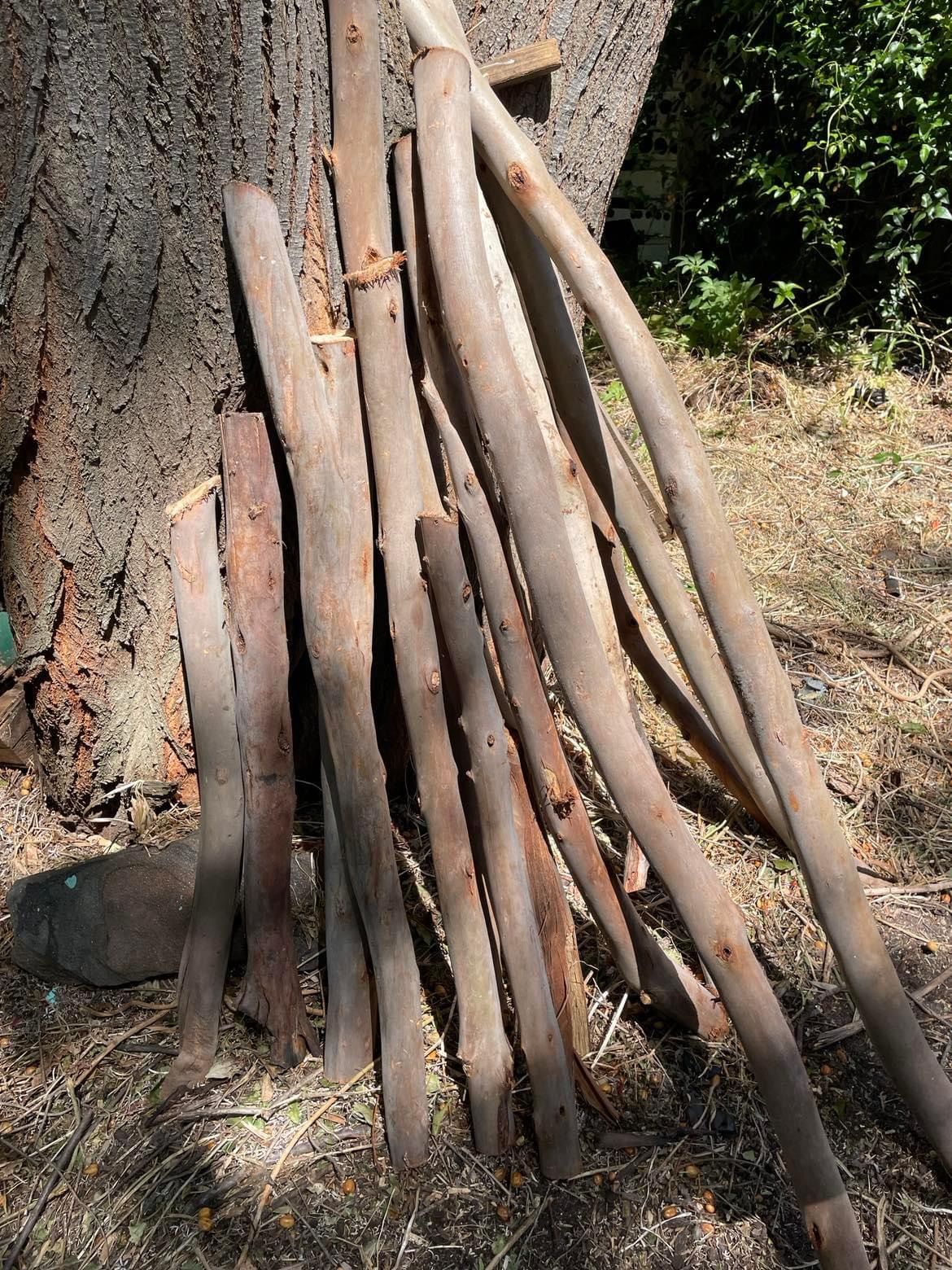 Tree branch decorative wheelbarrow | Bunnings Workshop community