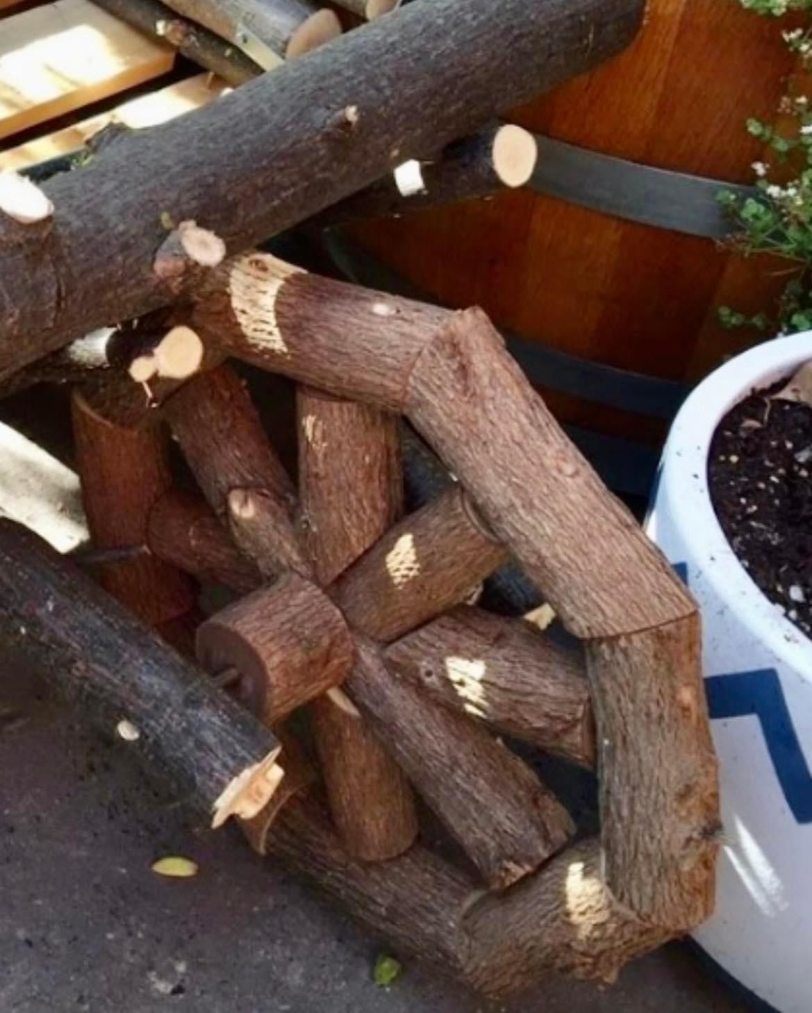 Tree branch decorative wheelbarrow | Bunnings Workshop community