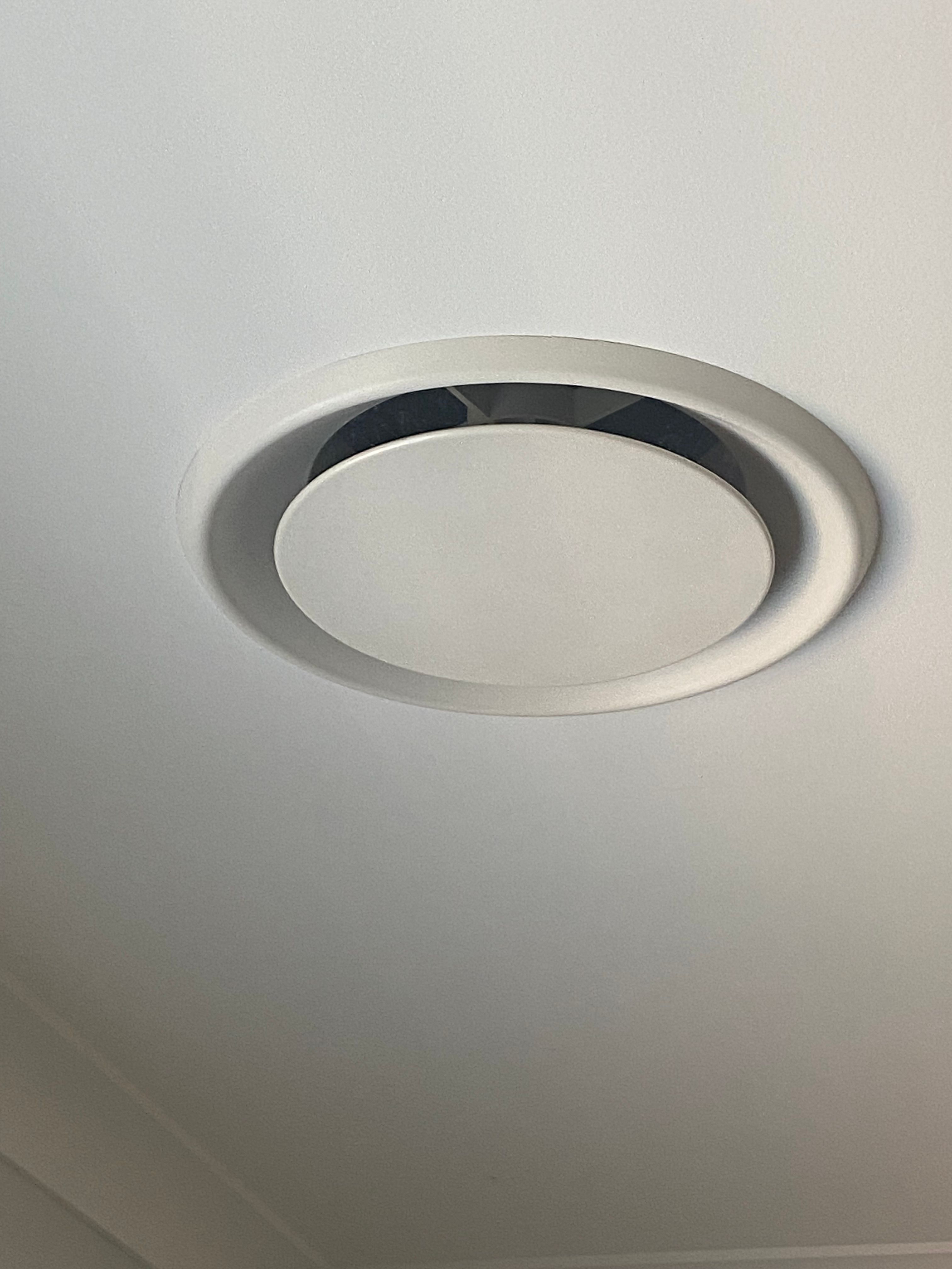 How do I prevent spiders from coming out... | Bunnings Workshop community