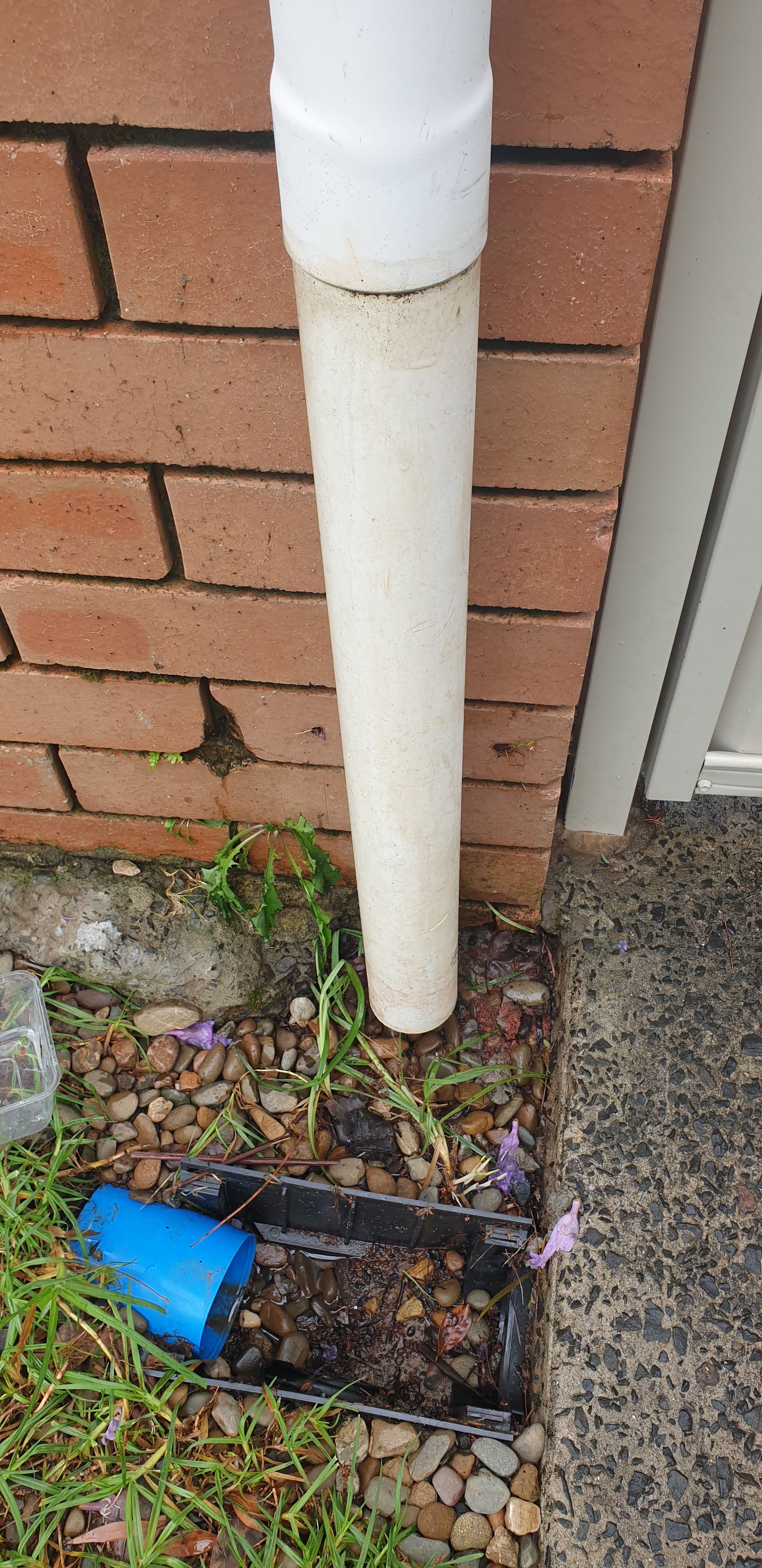 Solved: How to connect downpipe to drainage? | Bunnings Workshop community