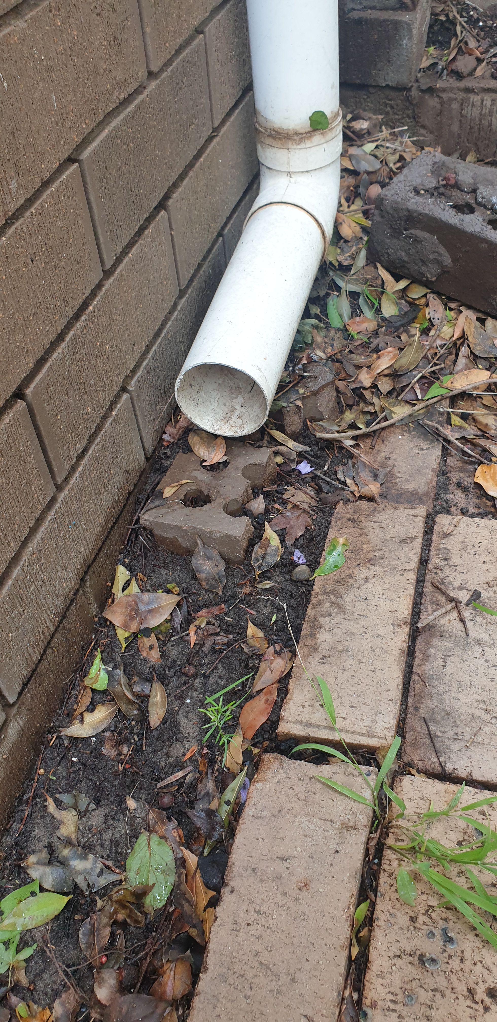Solved: How to connect downpipe to drainage? | Bunnings Workshop community