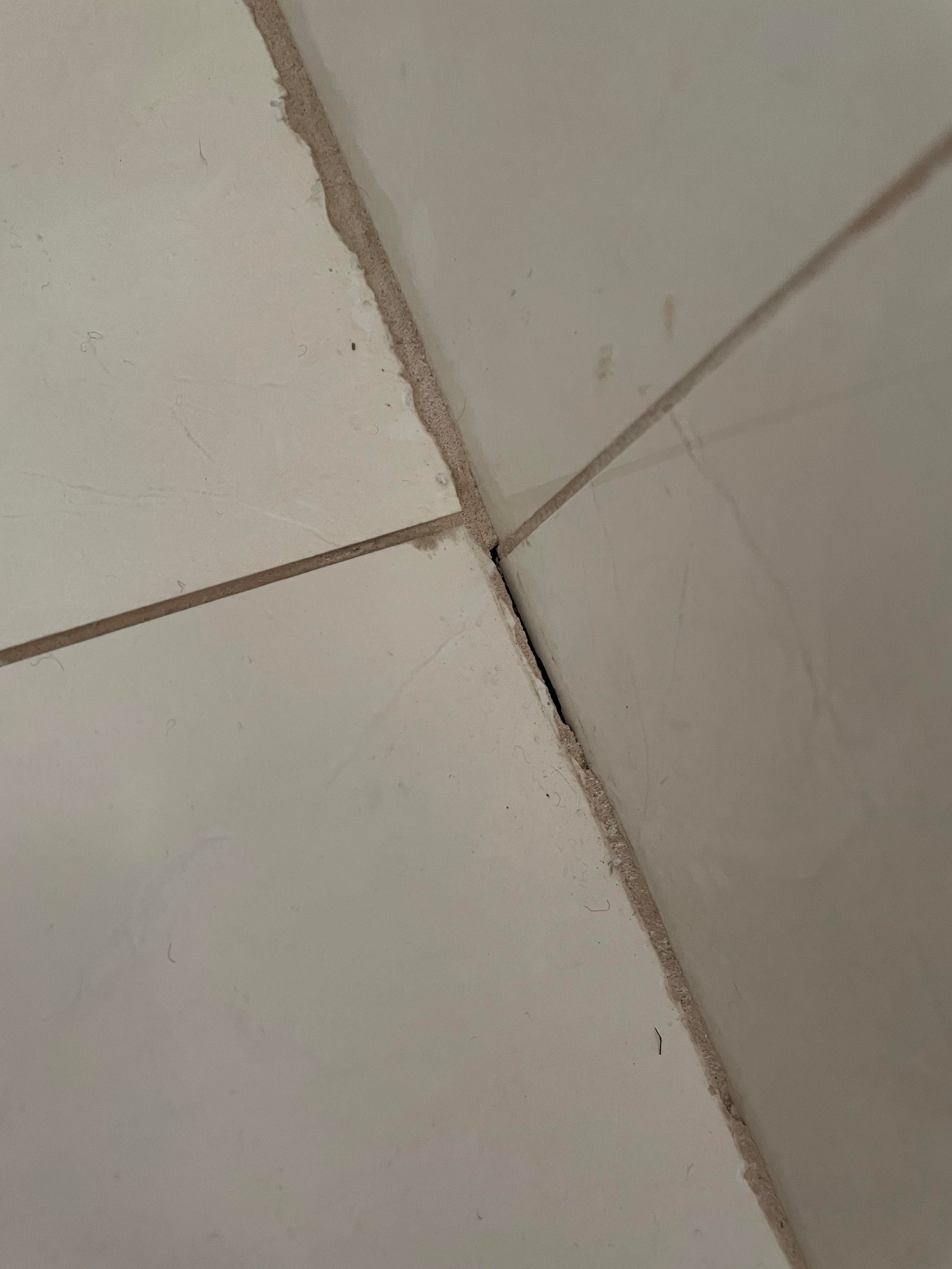 How to fill small gaps between tiles and... | Bunnings Workshop community