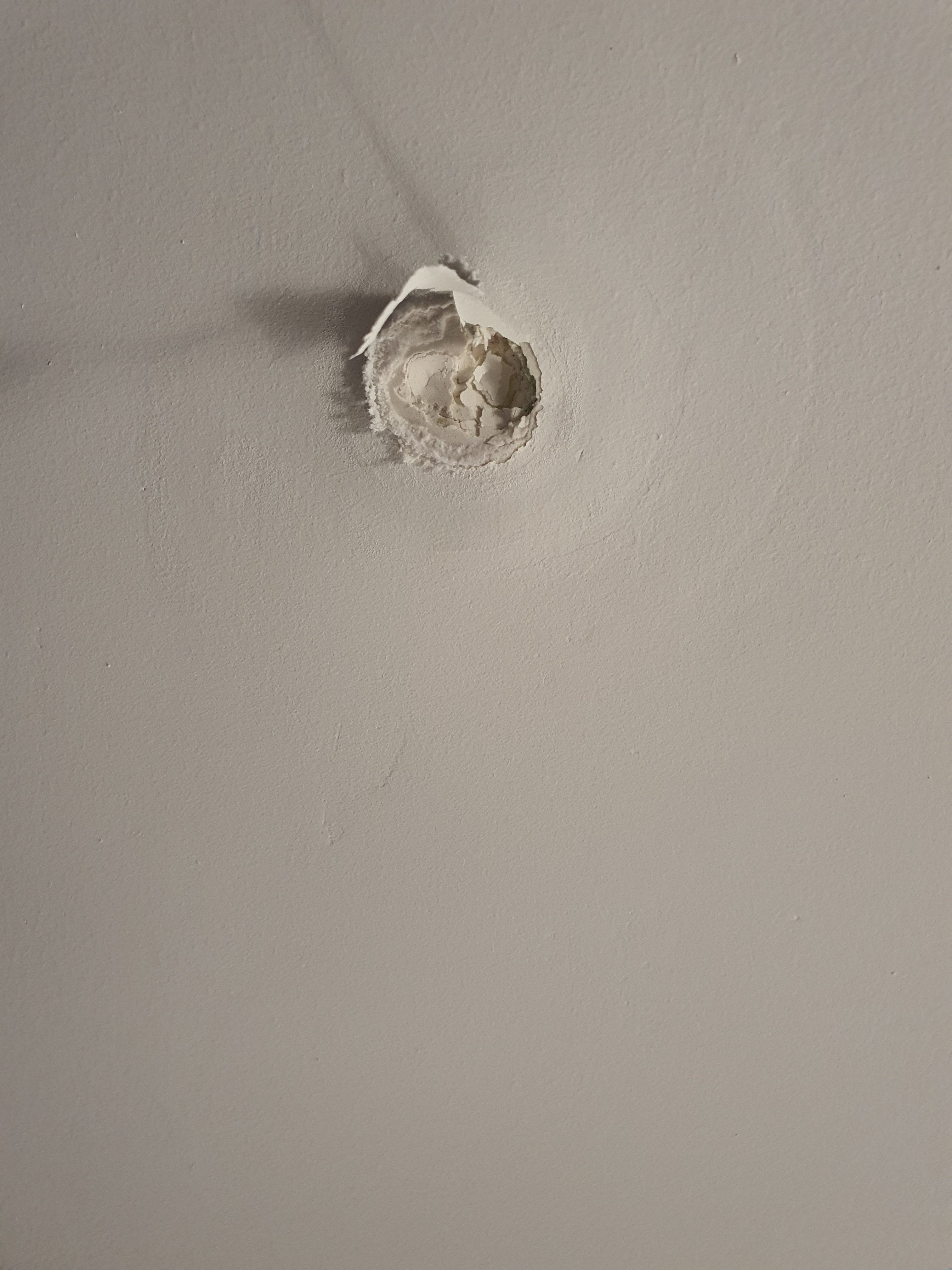 How to fix a dent in the ceiling? | Bunnings Workshop community
