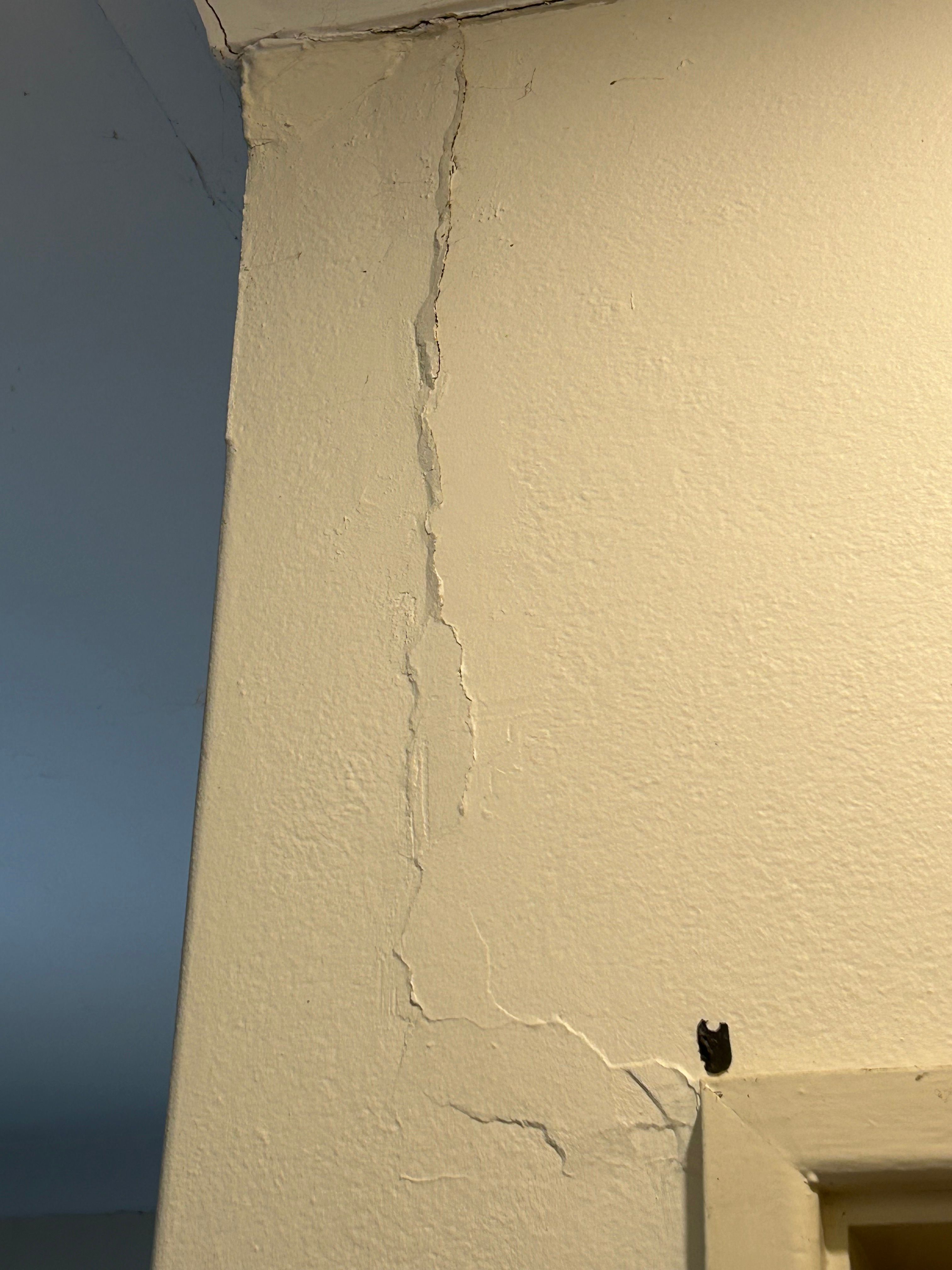 How to repair ceiling and wall cracks? | Bunnings Workshop community