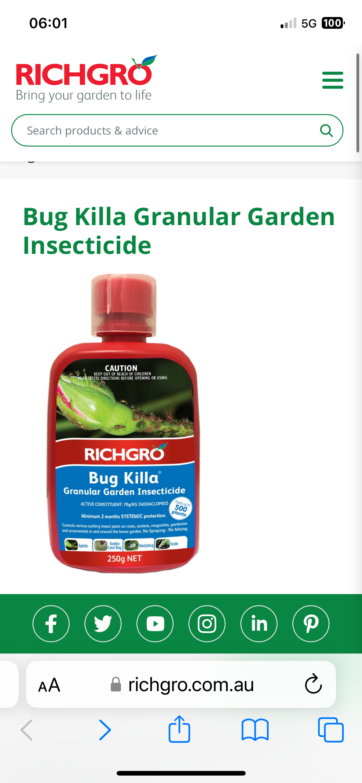 How to control white wax scale on my Lil... | Bunnings Workshop community