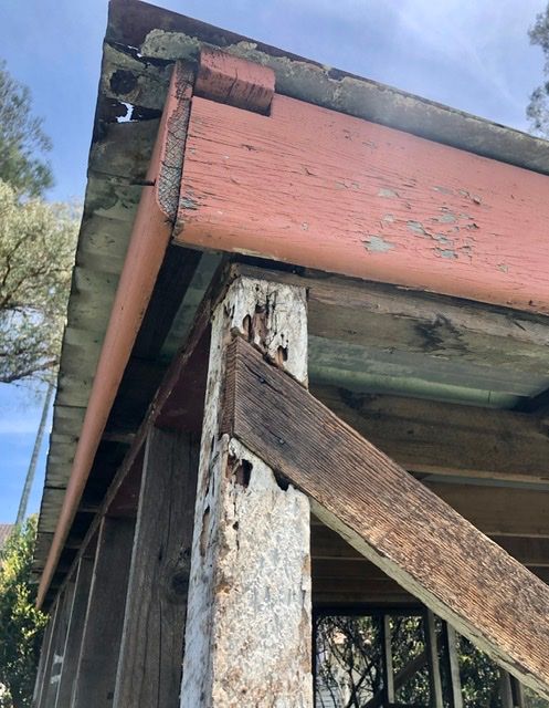 How to clad an old shed? | Bunnings Workshop community