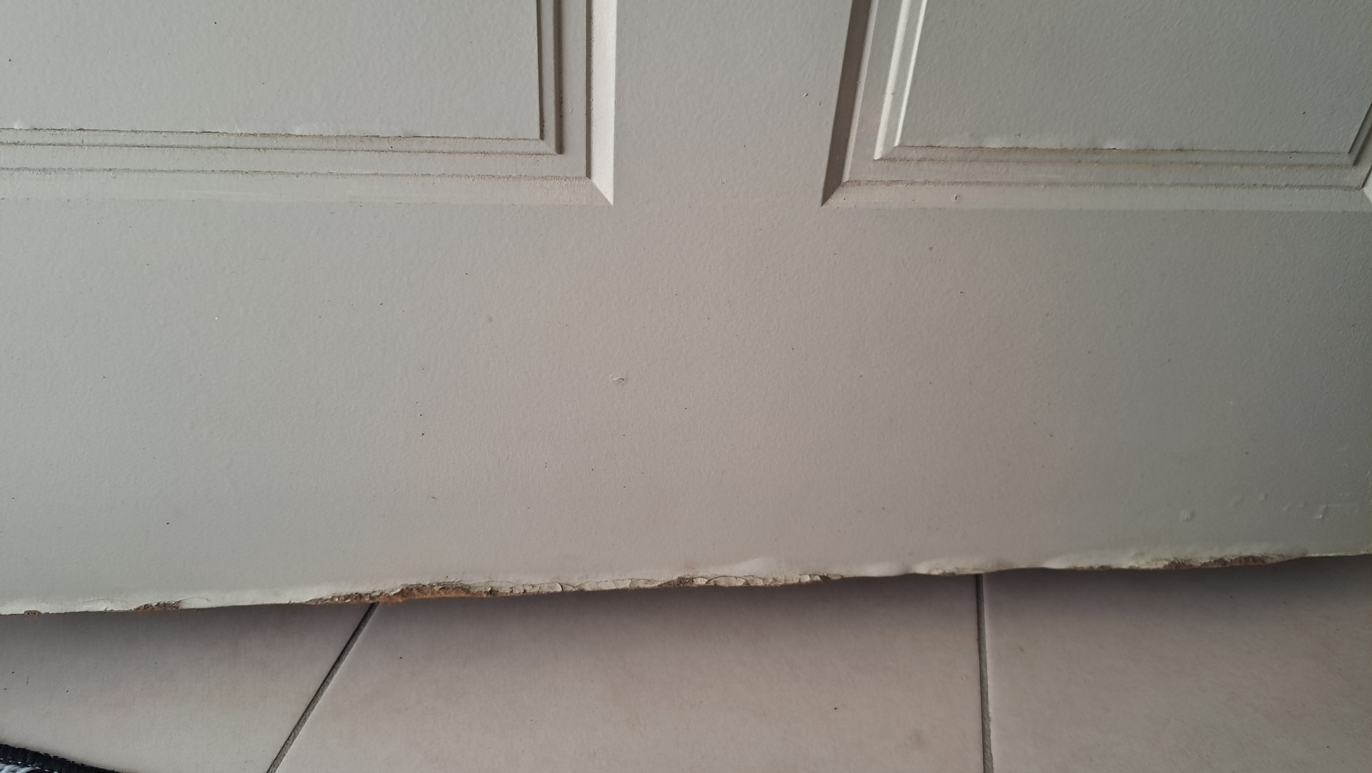 How to fix wooden entrance door with rot... | Bunnings Workshop community