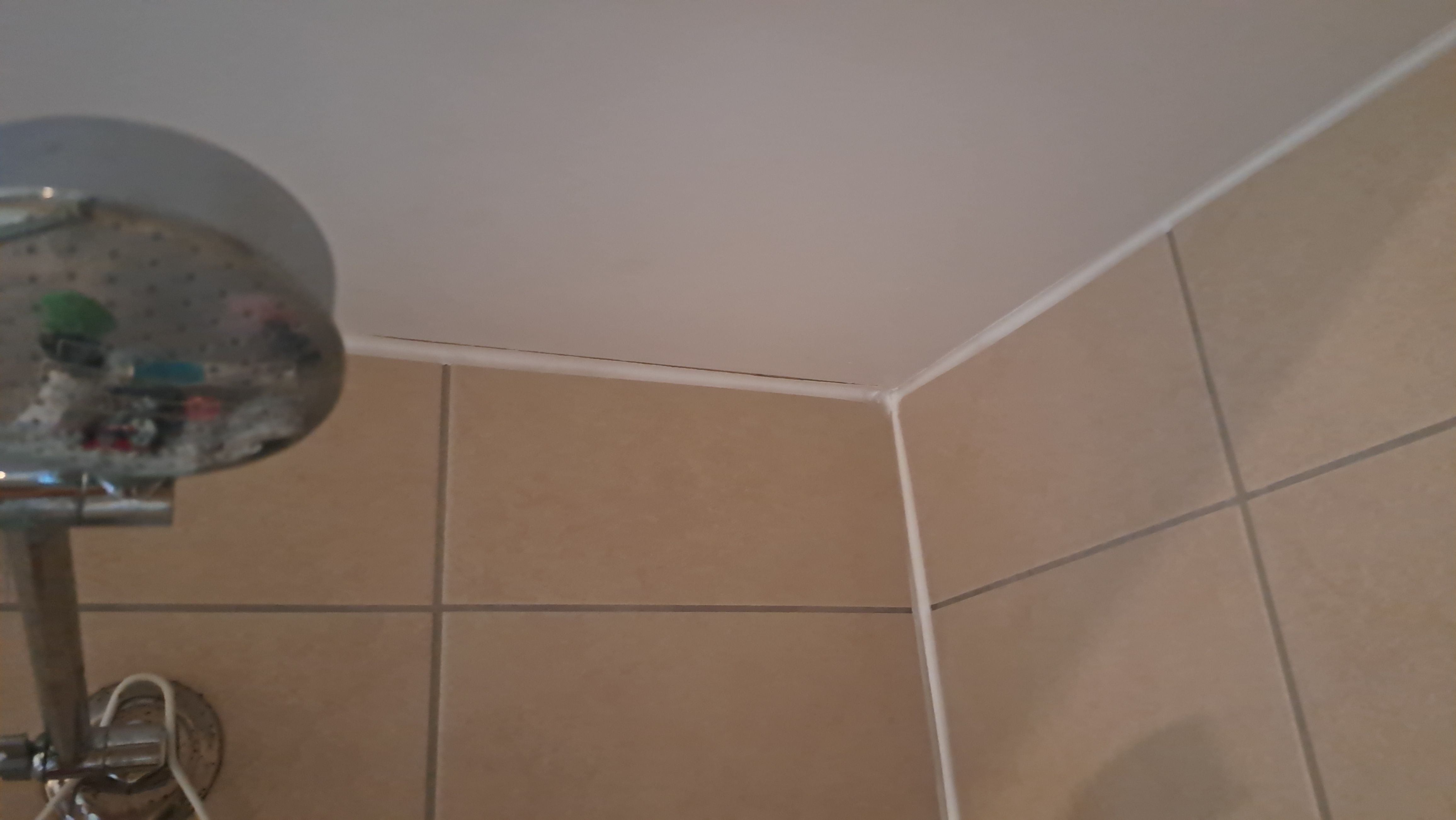 How to fix loose plaster coat in bathroo... | Bunnings Workshop community
