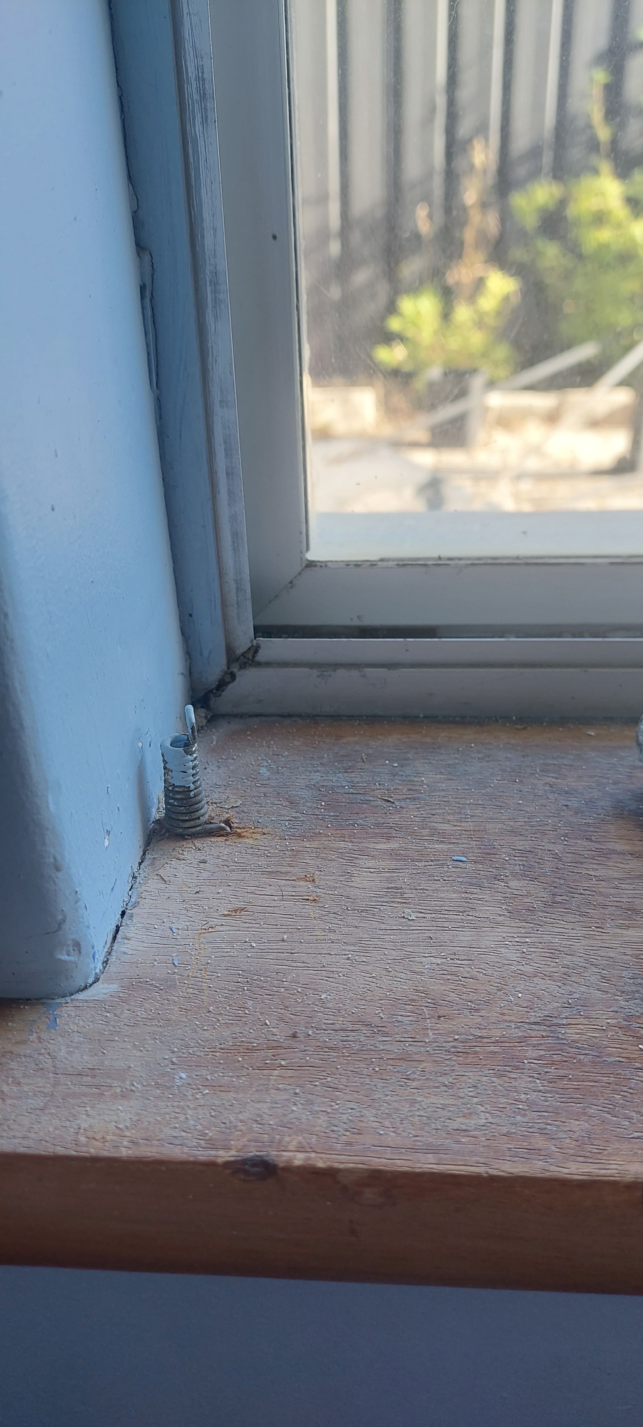 How to remove curtain springs from timbe... | Bunnings Workshop community