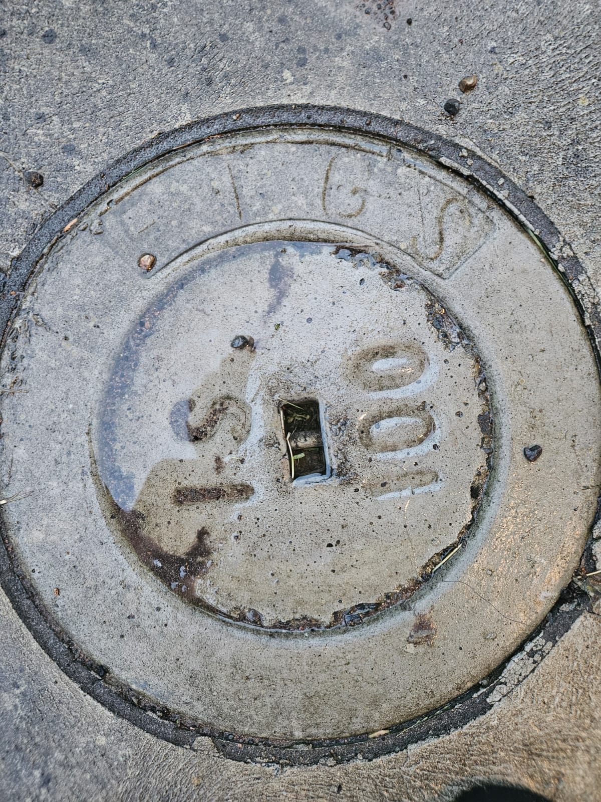 What is this concrete lid in my alfresco... | Bunnings Workshop community