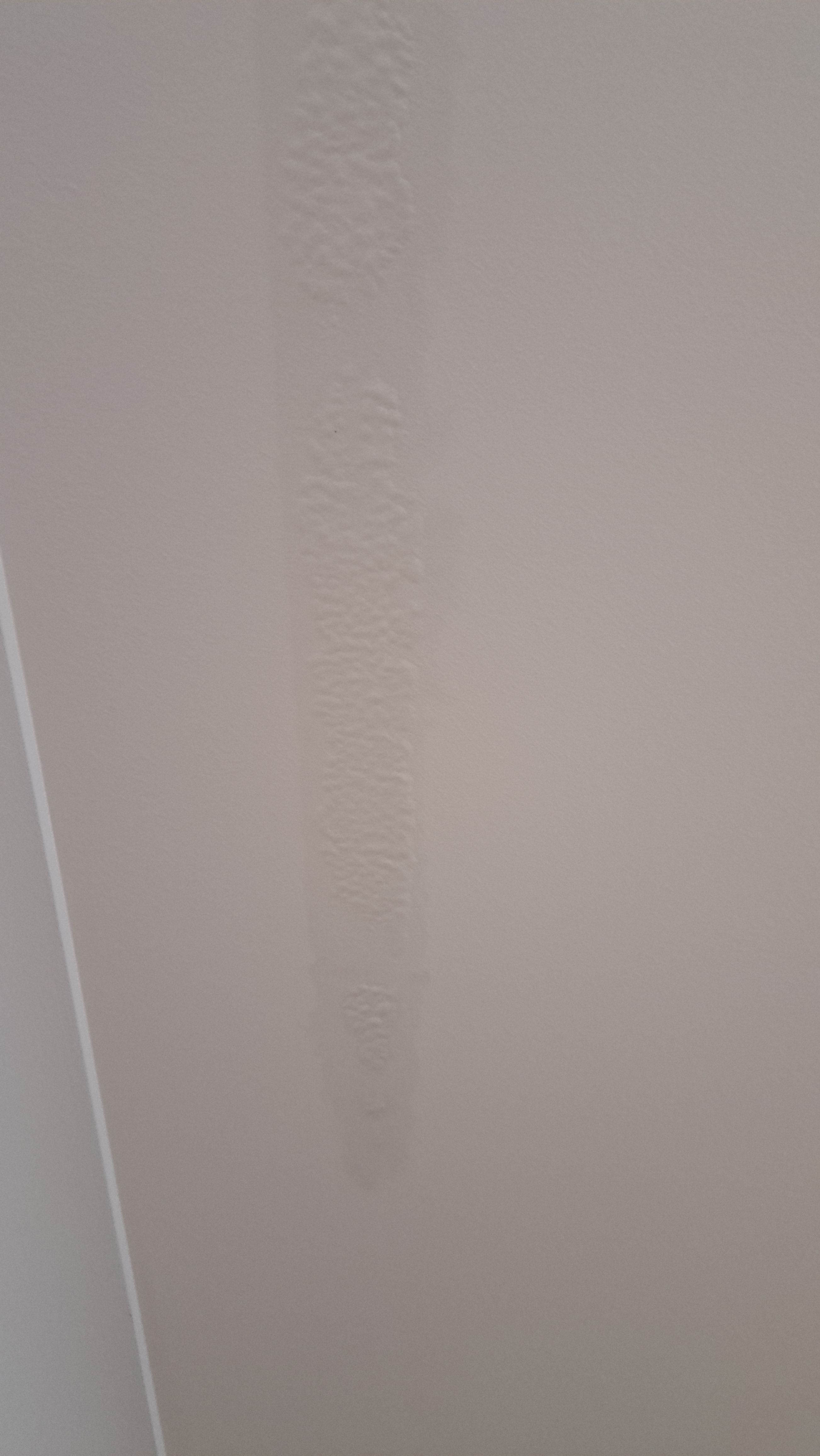 How to fix a water-damaged ceiling? | Bunnings Workshop community