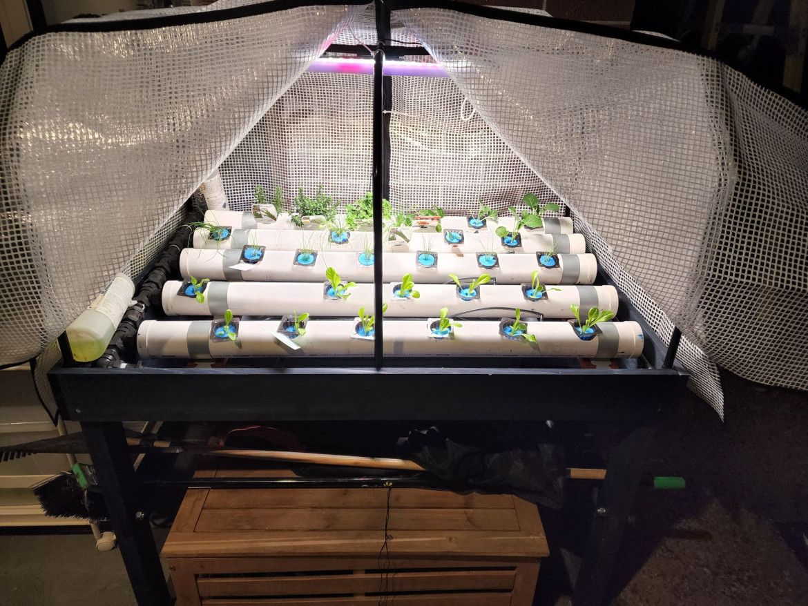 Sandy soil transformed into fertile vege... | Bunnings Workshop community