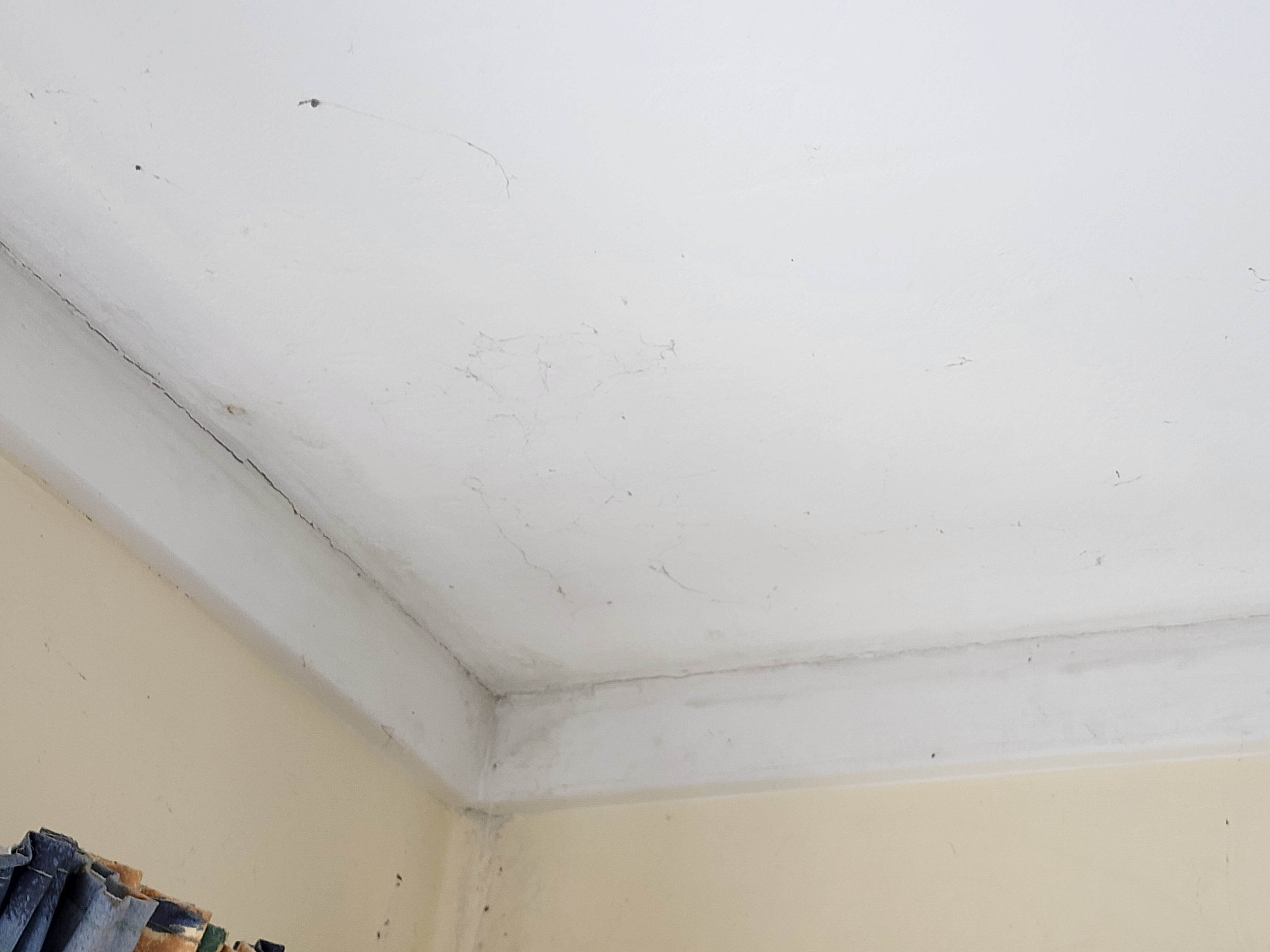 How to fix ceiling damaged by water leak... | Bunnings Workshop community