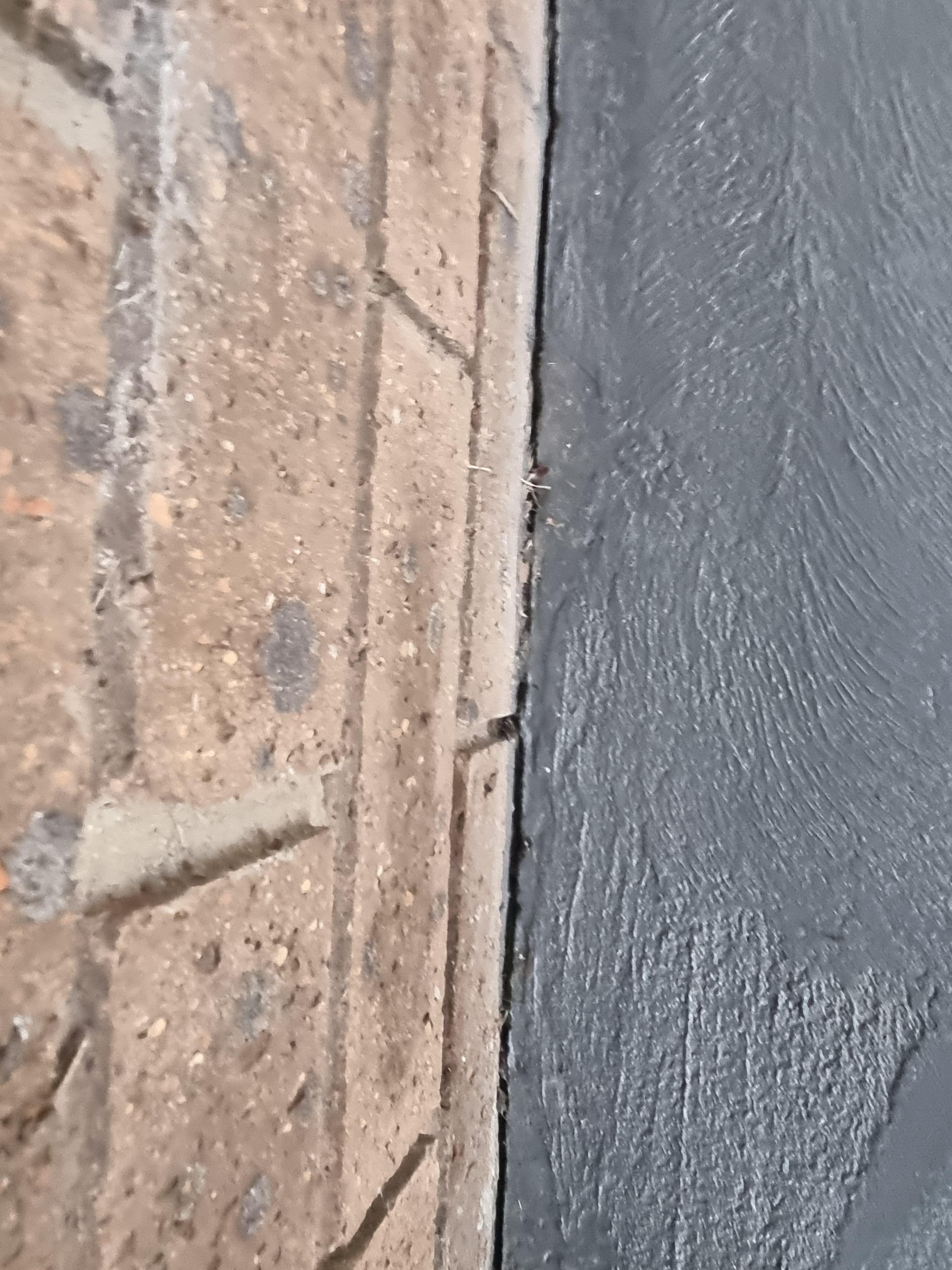 How to fill gap between brick wall and e... | Bunnings Workshop community