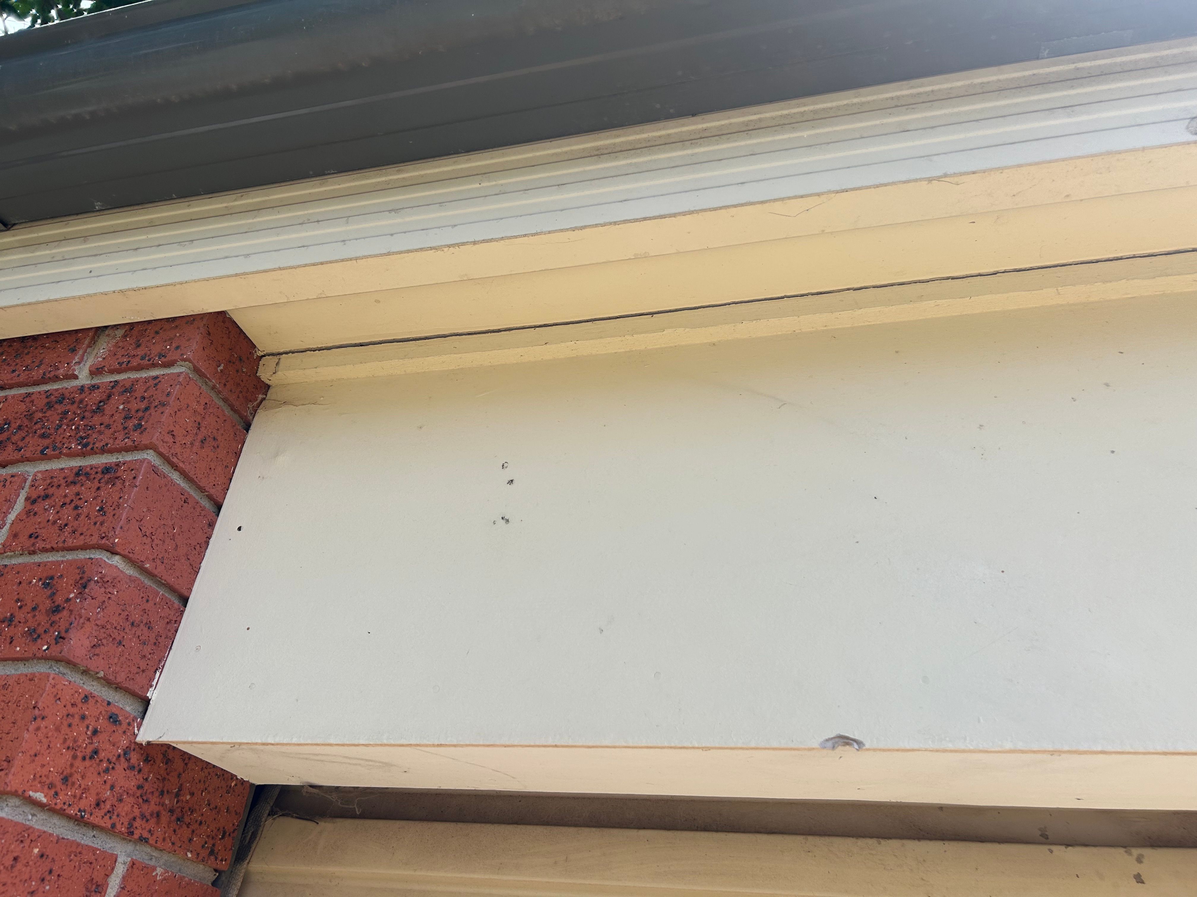 What is the best gap filler to use for e... | Bunnings Workshop community