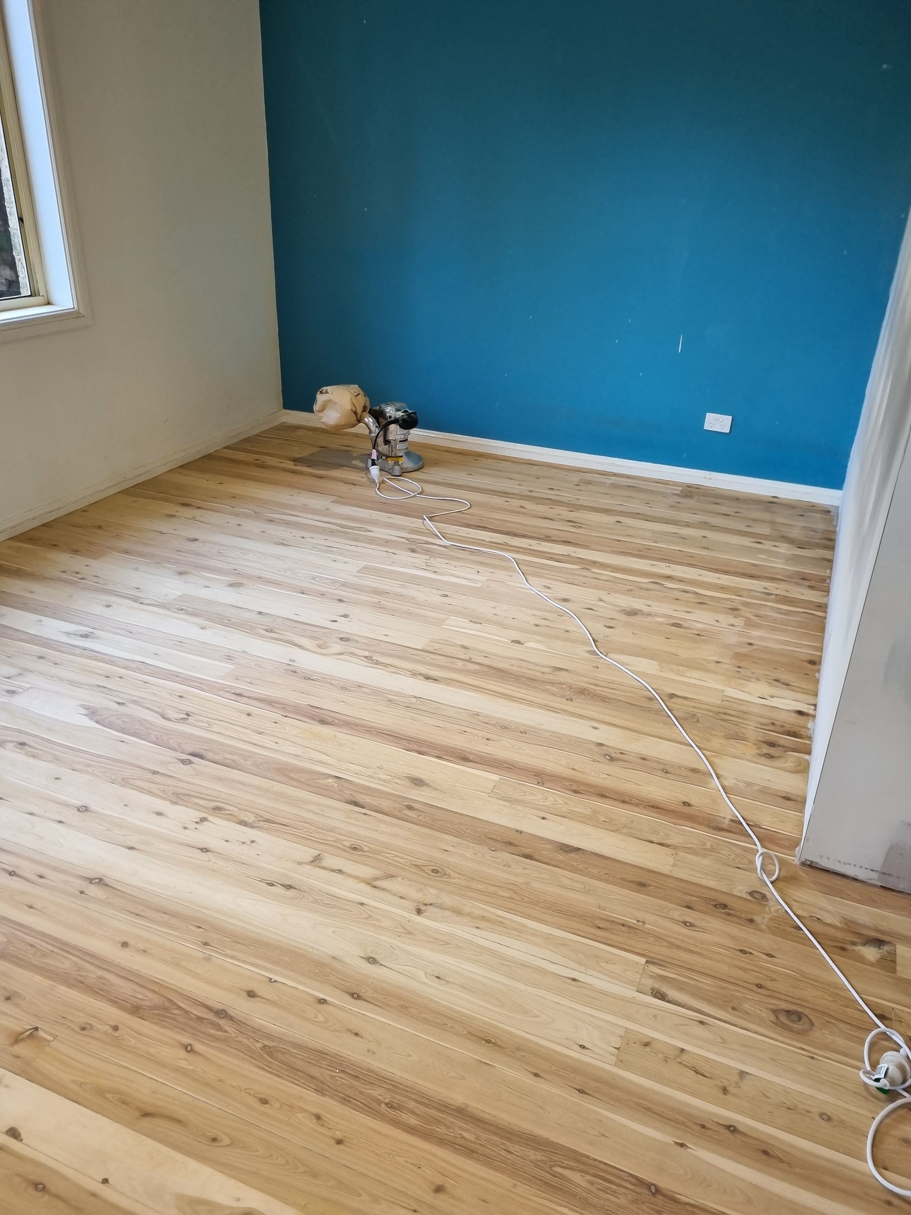 How can I fix these orange Cyprus Pine f... | Bunnings Workshop community