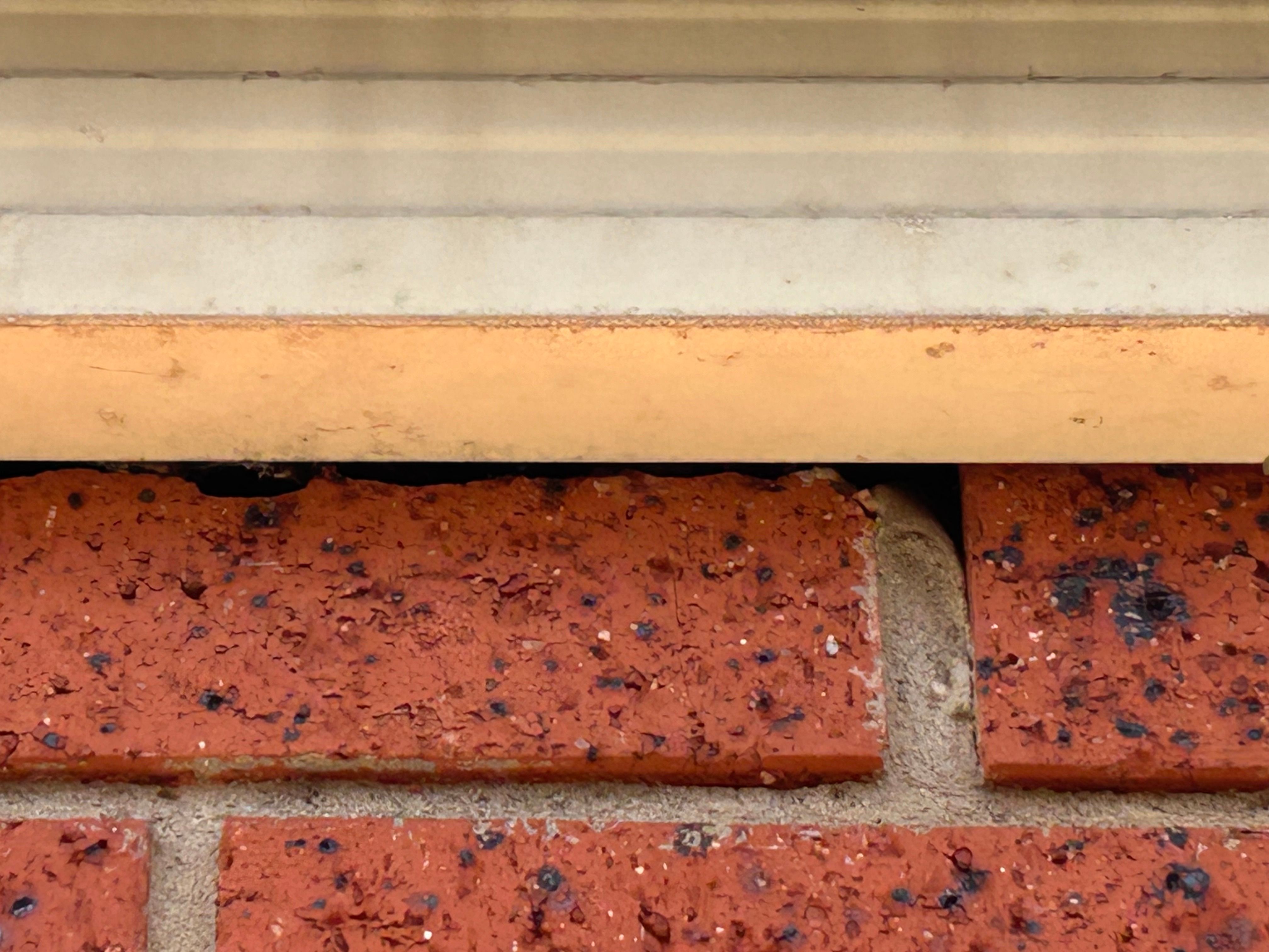 What is the best gap filler to use for e... | Bunnings Workshop community