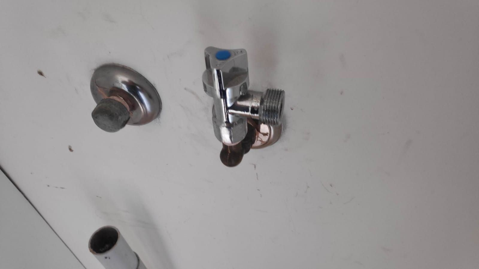 How to install a washing machine with a ... | Bunnings Workshop community