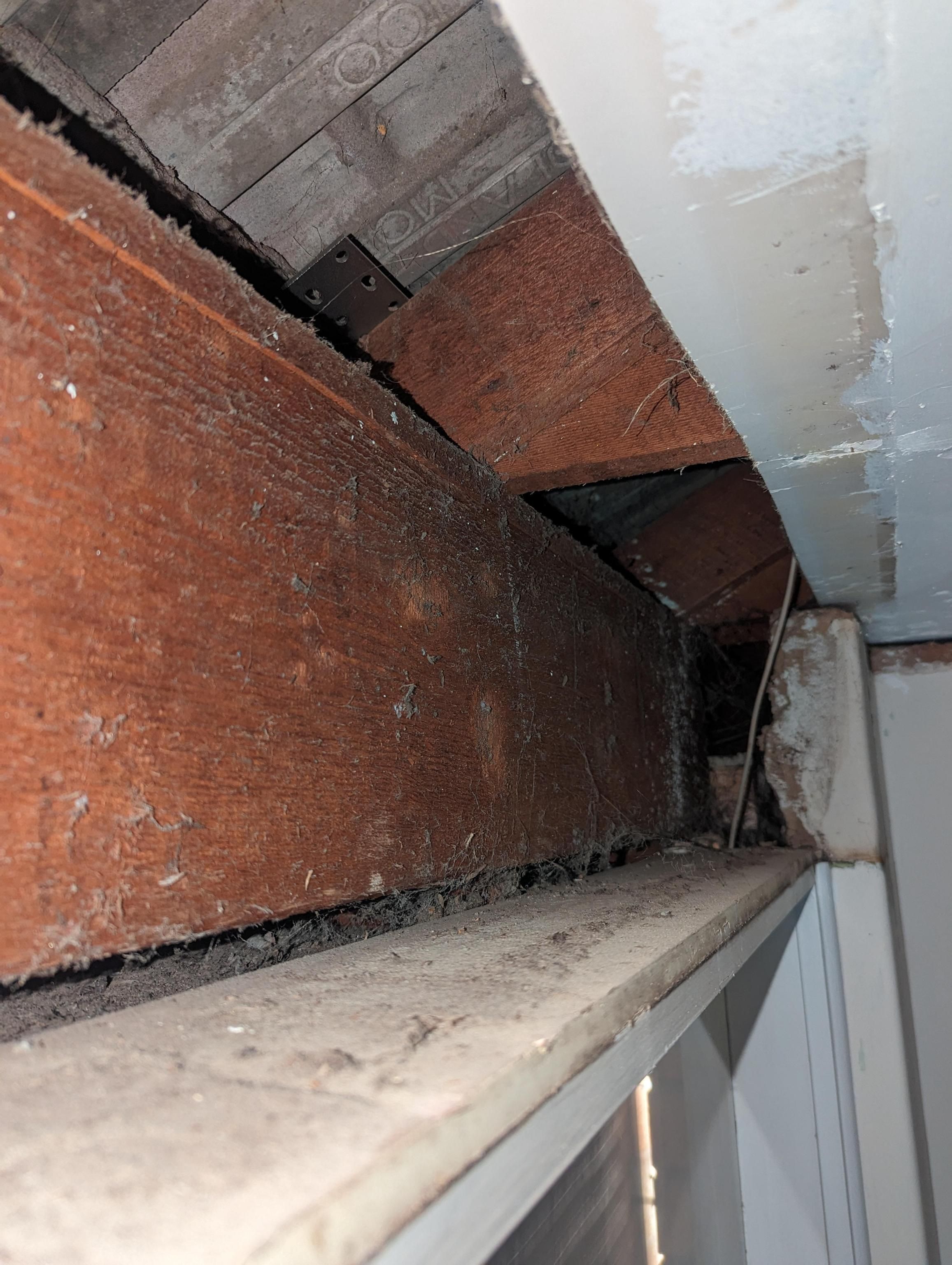 How to fill a giant void above window? | Bunnings Workshop community