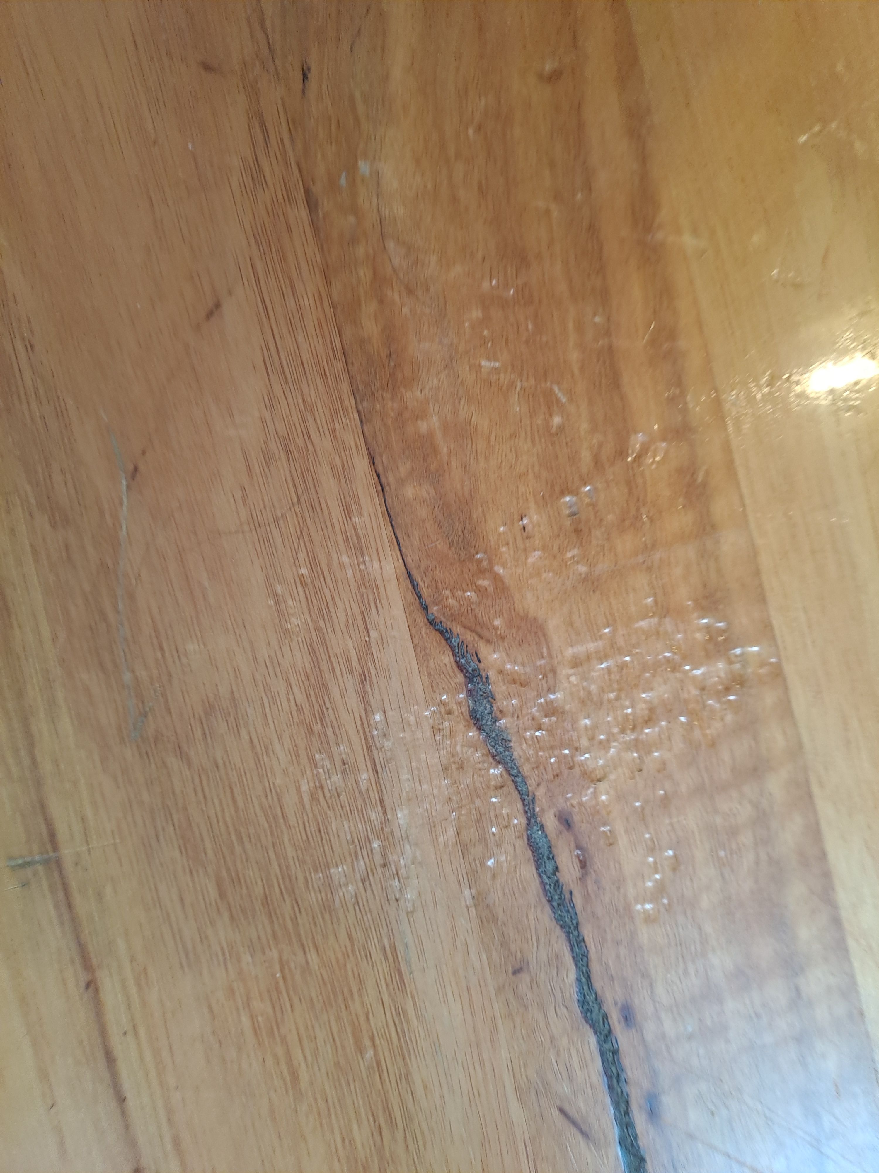 How to repair timber floors with dents a... | Bunnings Workshop community