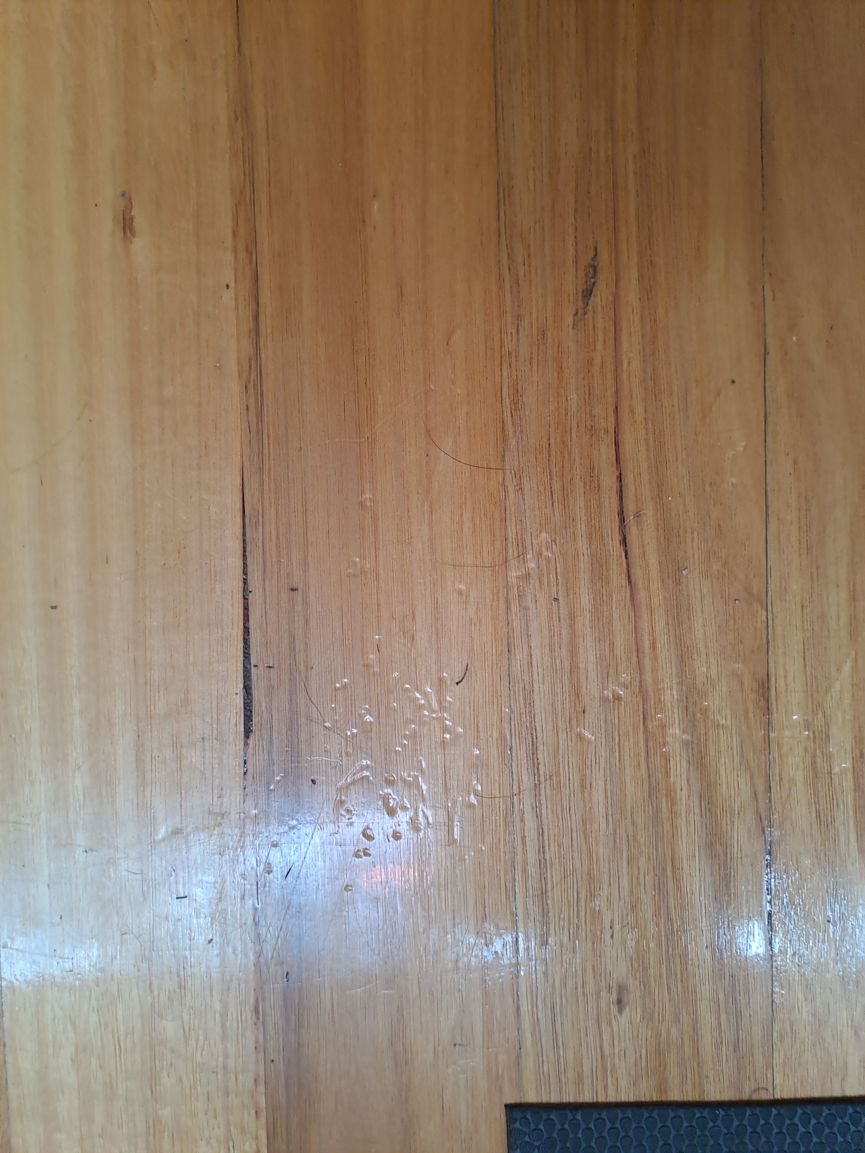 How to repair timber floors with dents a... | Bunnings Workshop community