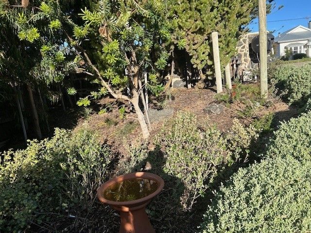 How to build simple drainage? | Bunnings Workshop community