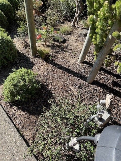 How to build simple drainage? | Bunnings Workshop community