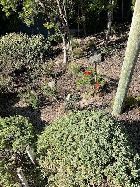 How to build simple drainage? | Bunnings Workshop community