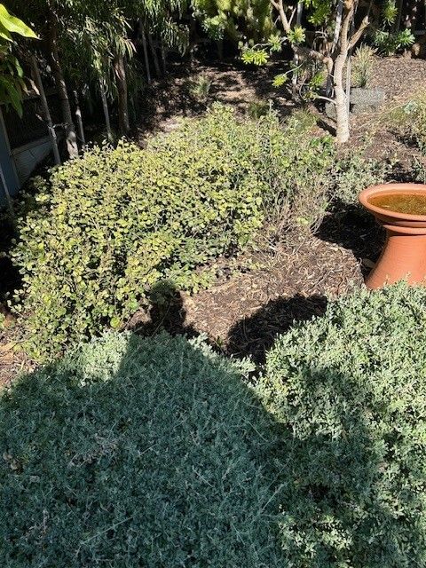 How to build simple drainage? | Bunnings Workshop community