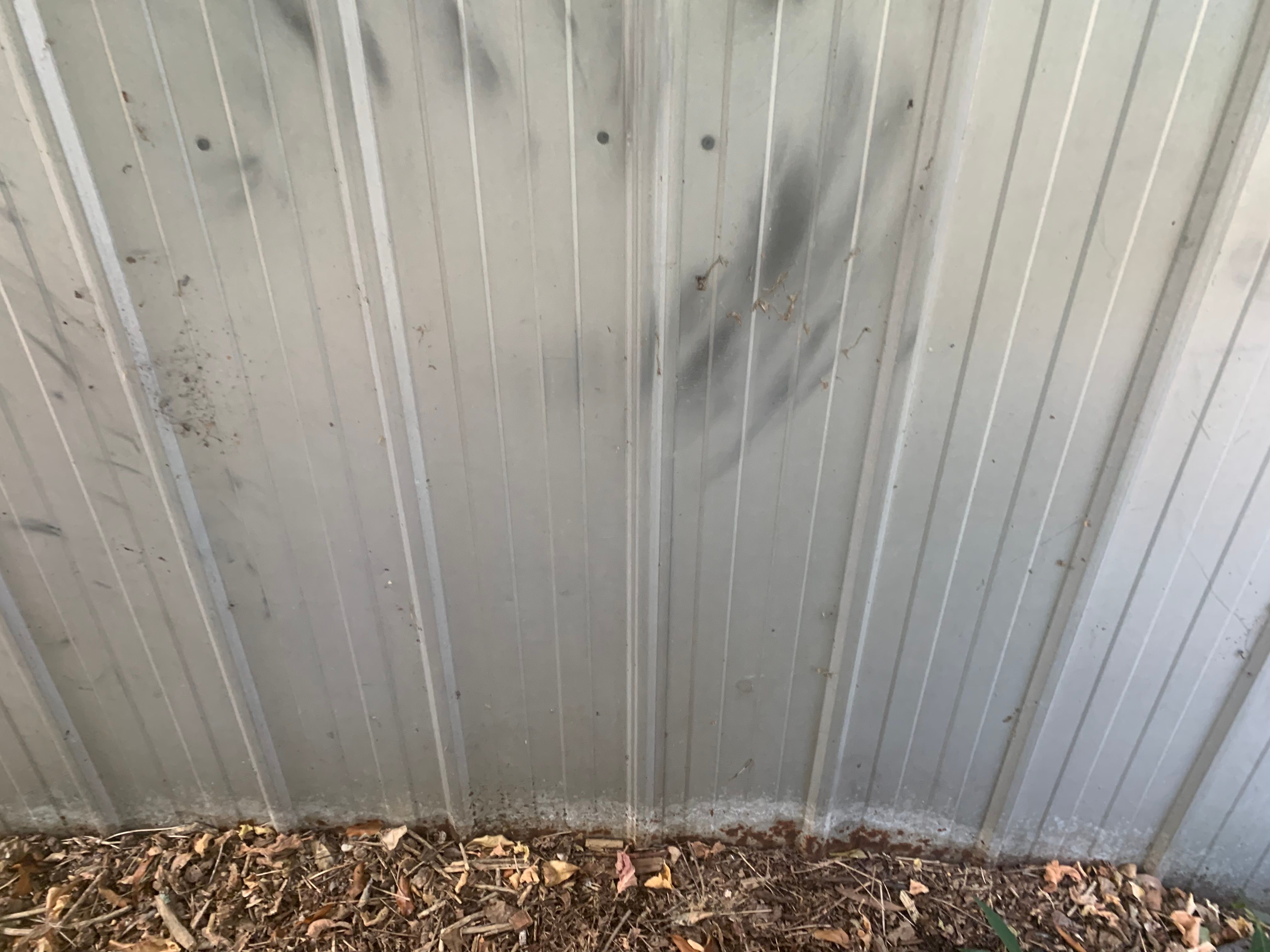 How to fix shed which is rusting? | Bunnings Workshop community