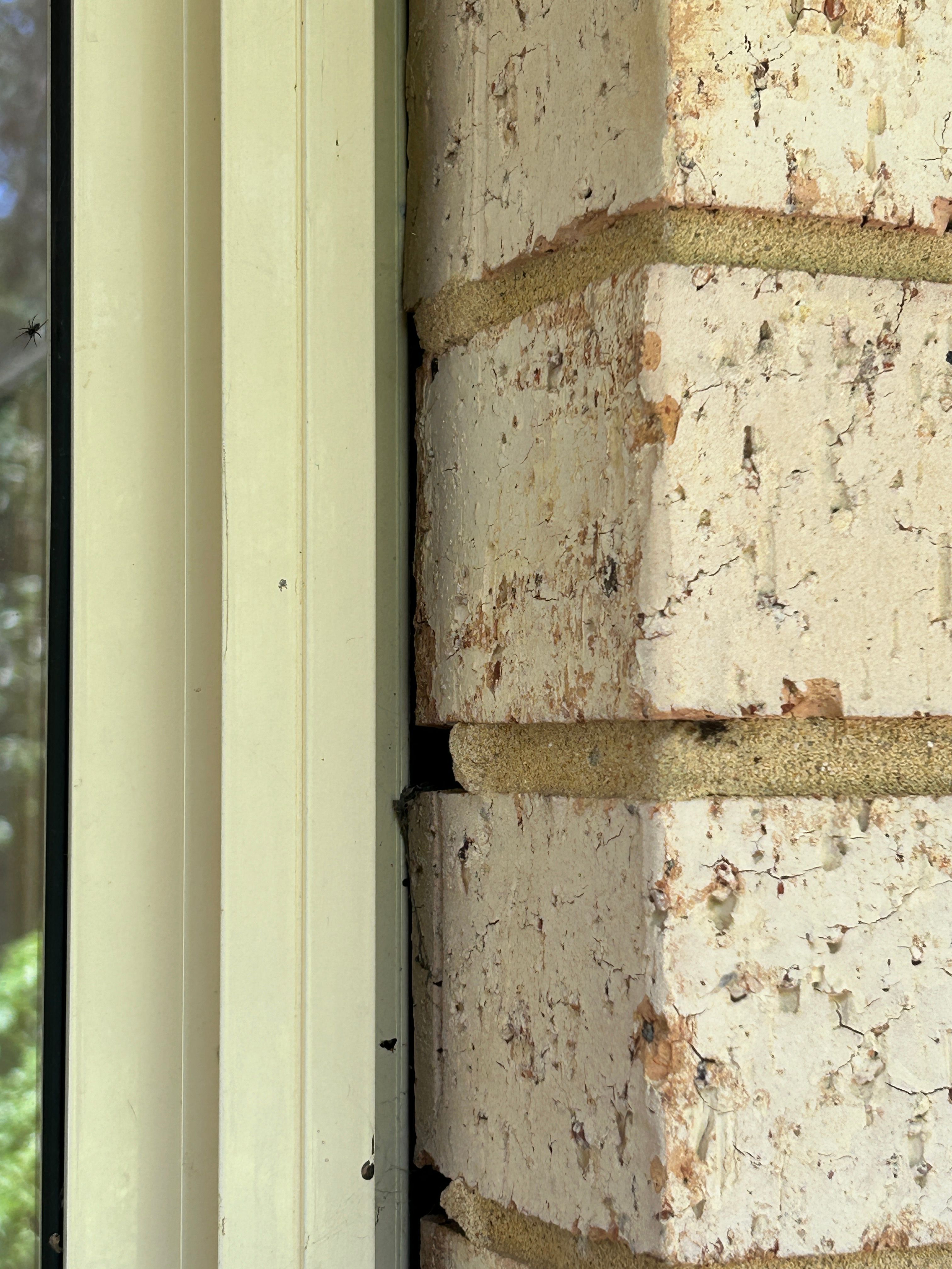 How to fill gaps between floor and wall? | Bunnings Workshop community