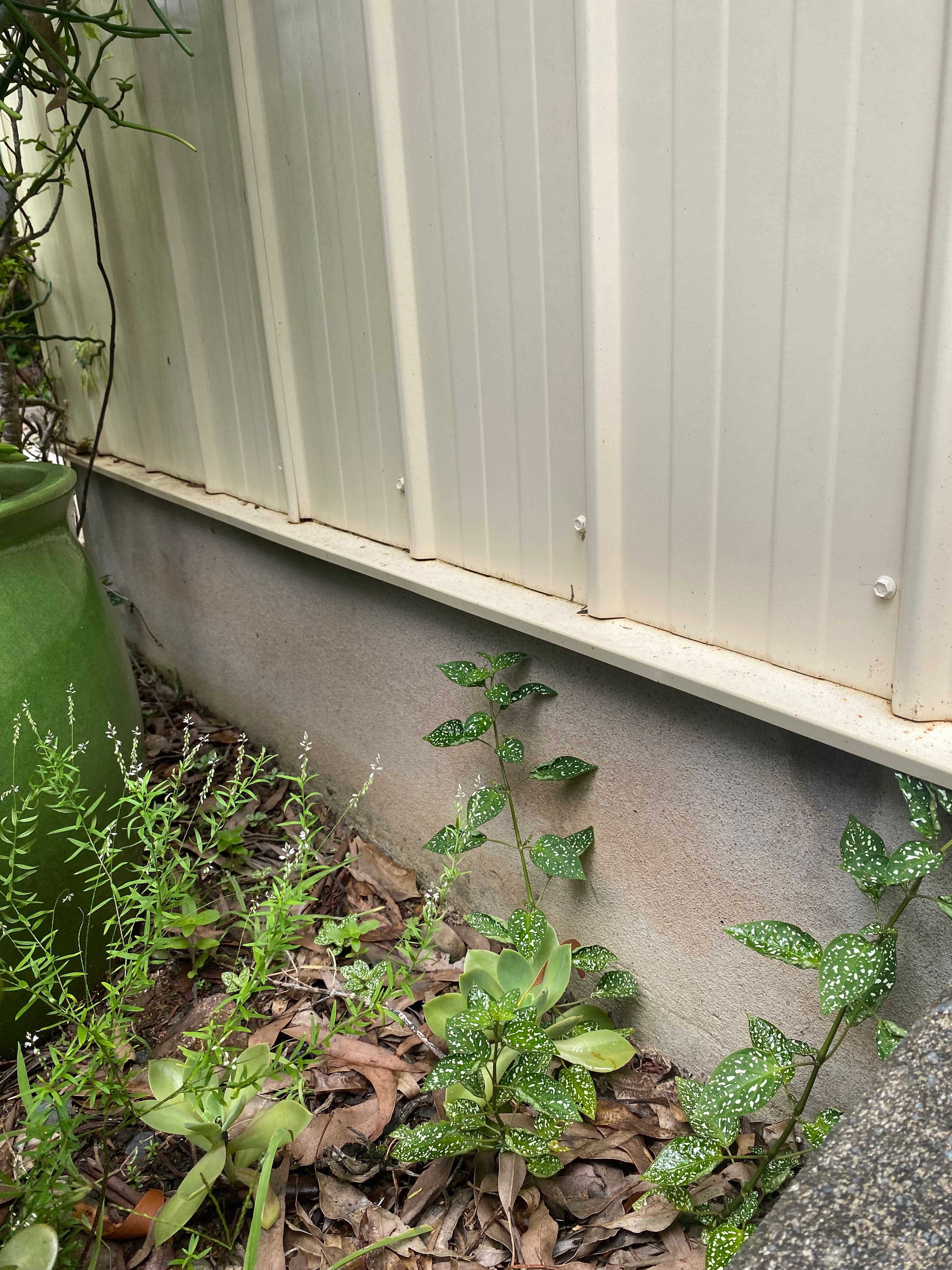 How to bolt a stand to a concrete slab? | Bunnings Workshop community