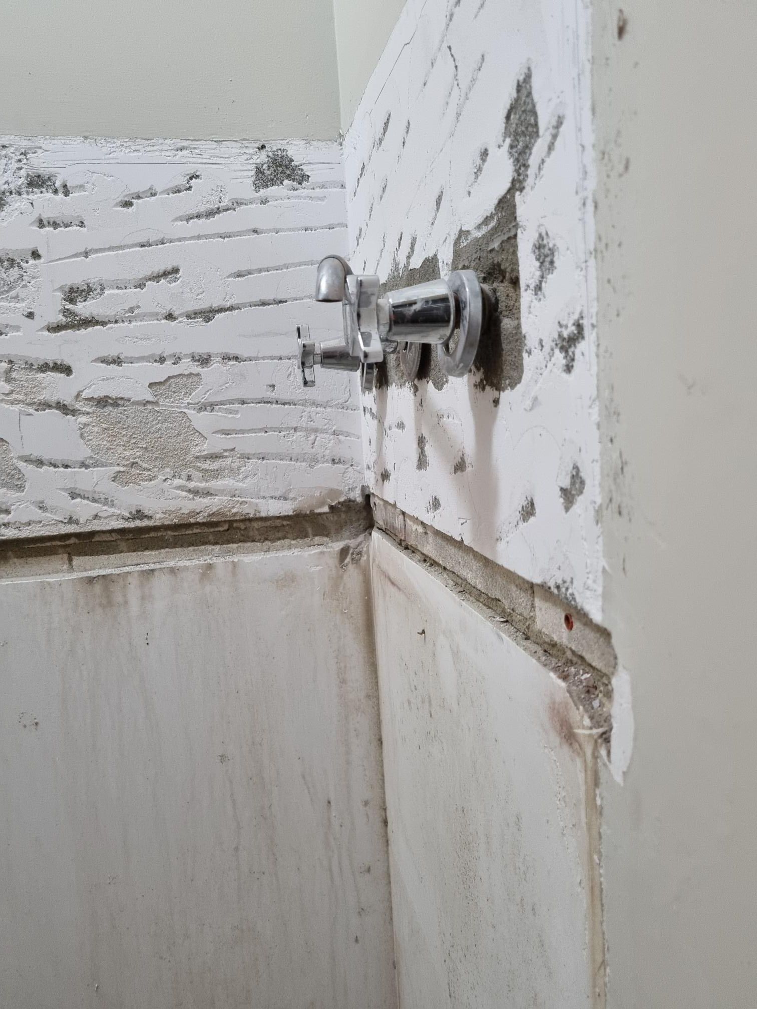 Solved: How to level a rendered brick wall? | Bunnings Workshop community