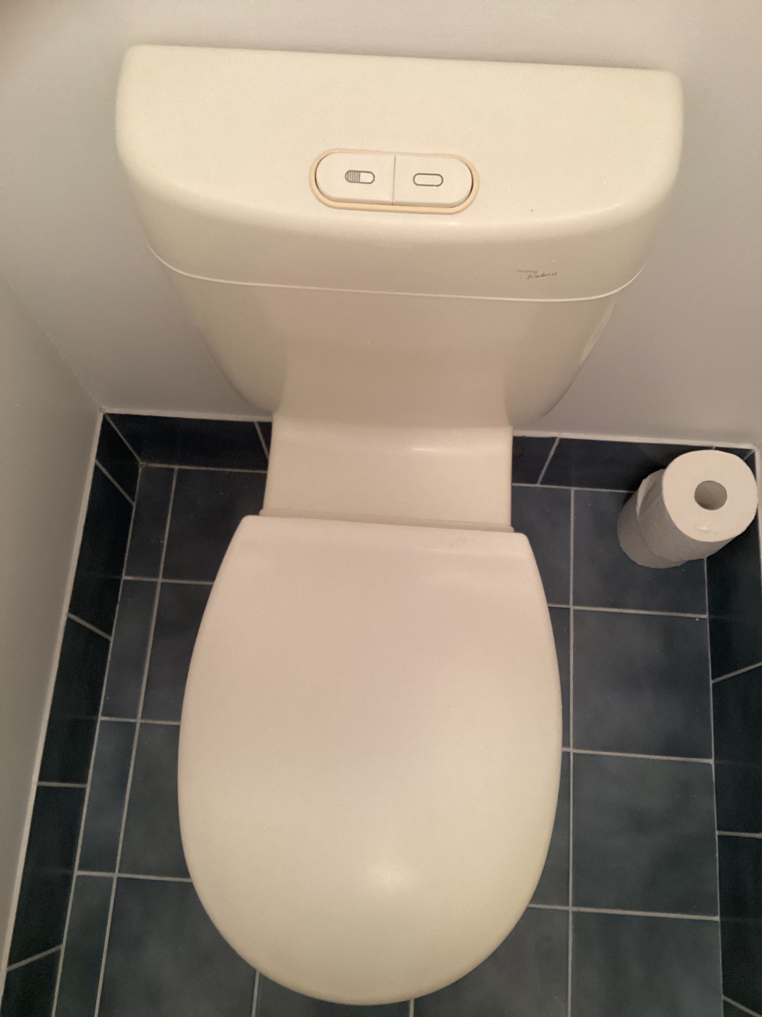 How to replace Caroma Trident cistern an... | Bunnings Workshop community