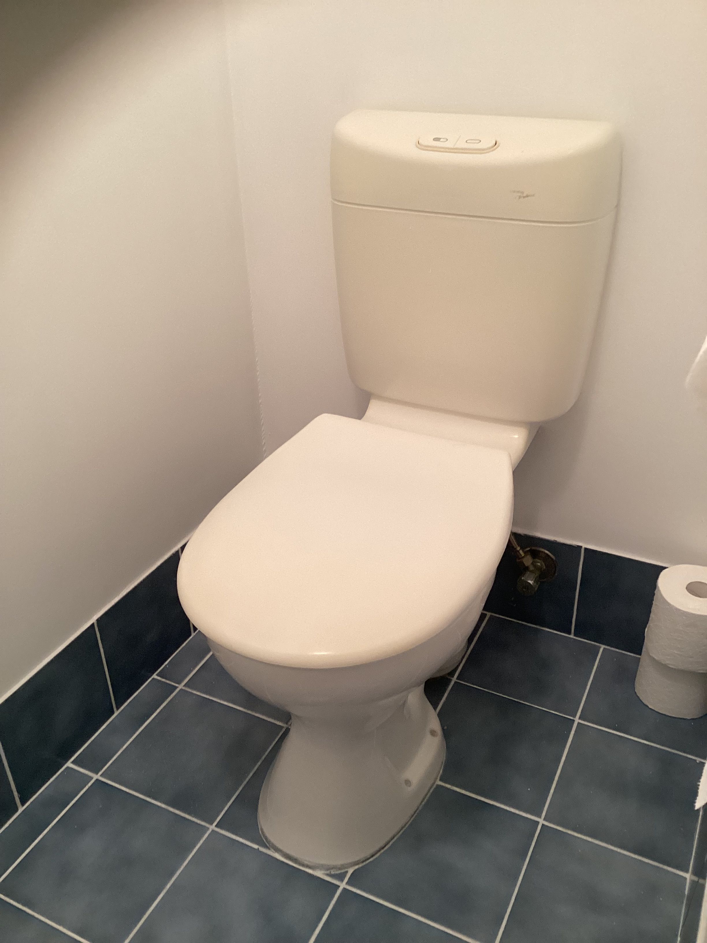 How to replace Caroma Trident cistern an... | Bunnings Workshop community