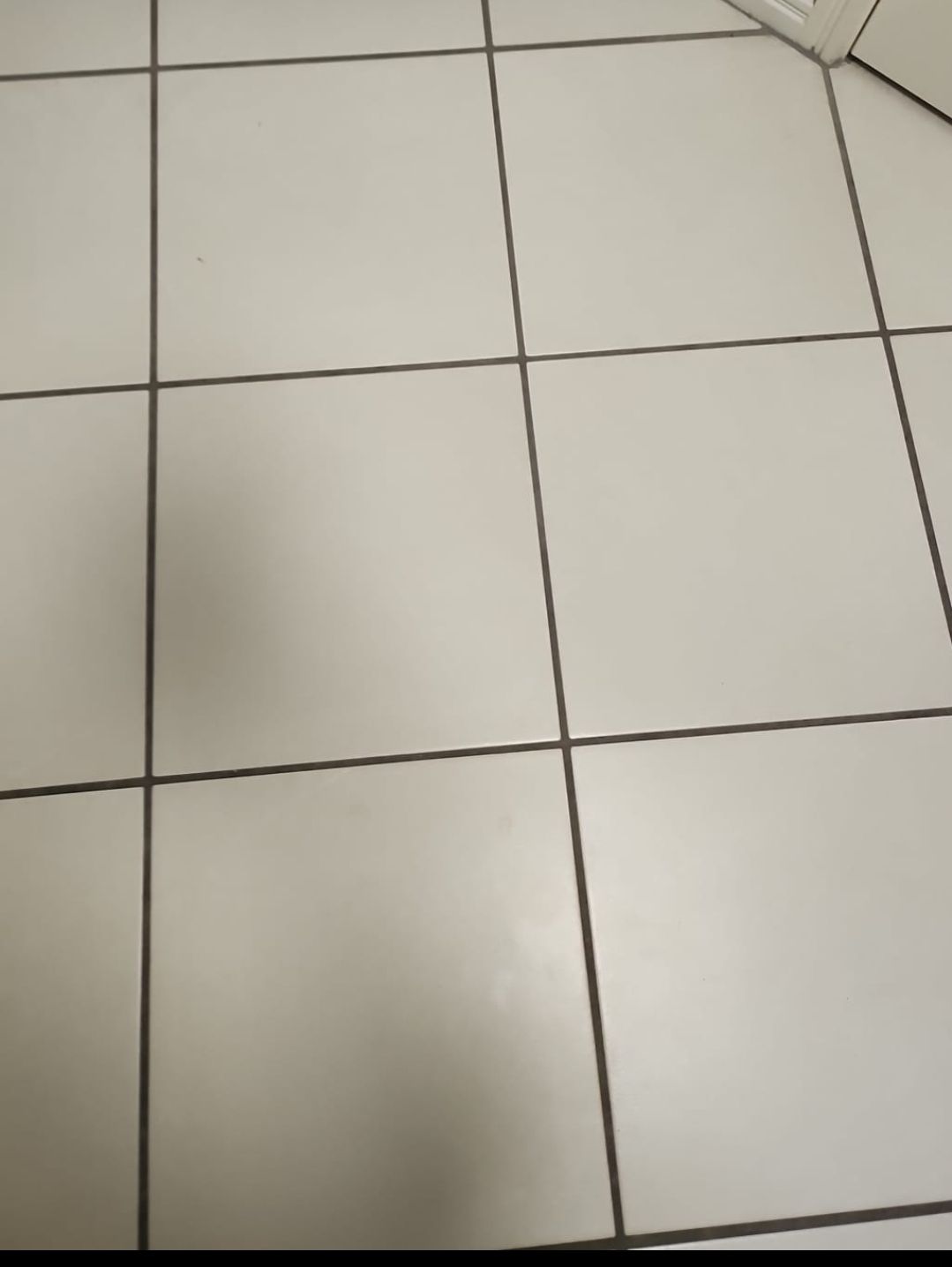 What can i do to revive these tiles? | Bunnings Workshop community