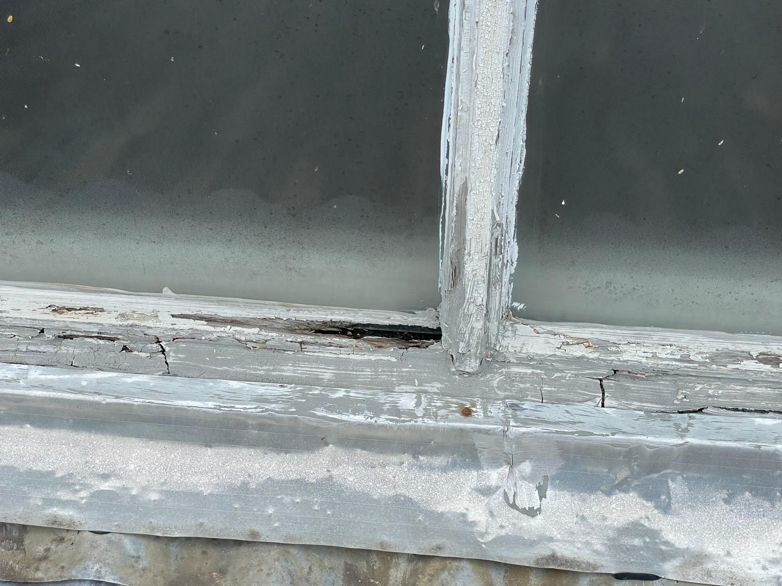 How to repair timber windows? | Bunnings Workshop community