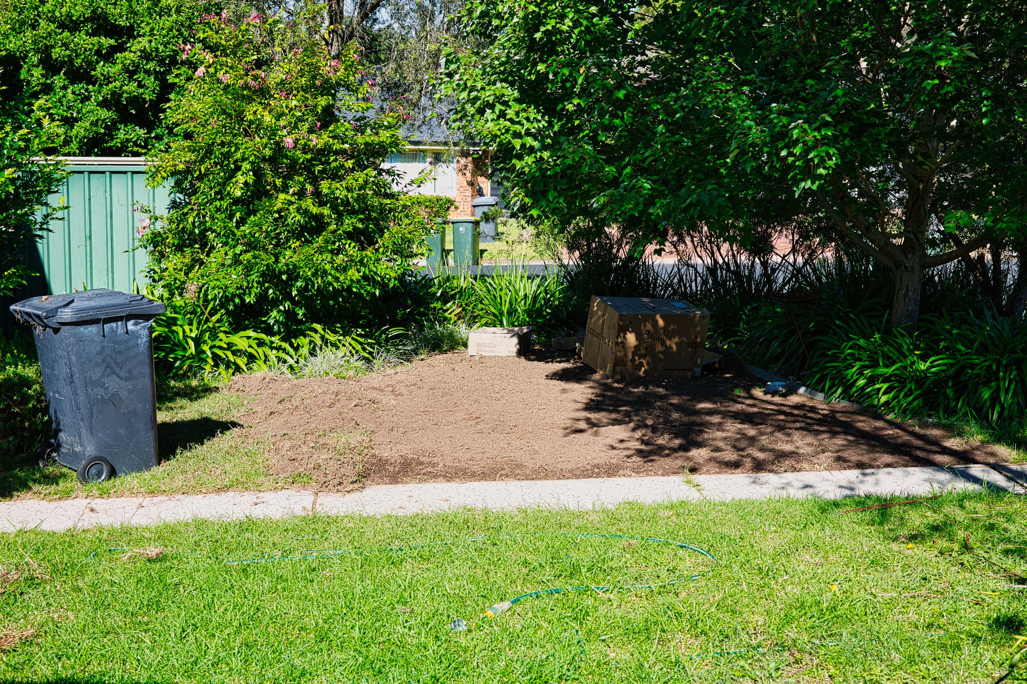 How to convert lawn to a clover mix? | Bunnings Workshop community