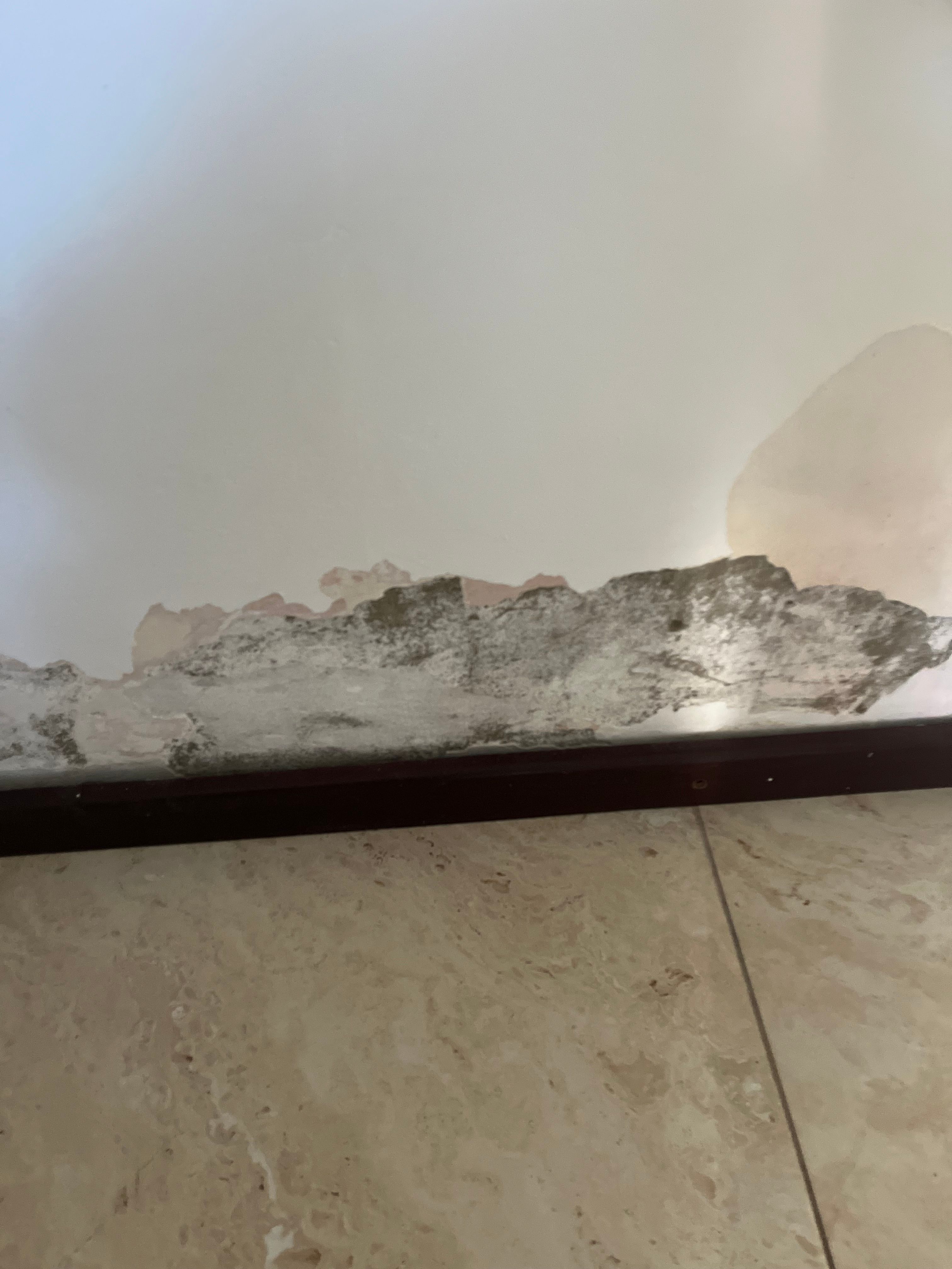 How to fix water damaged wall? | Bunnings Workshop community