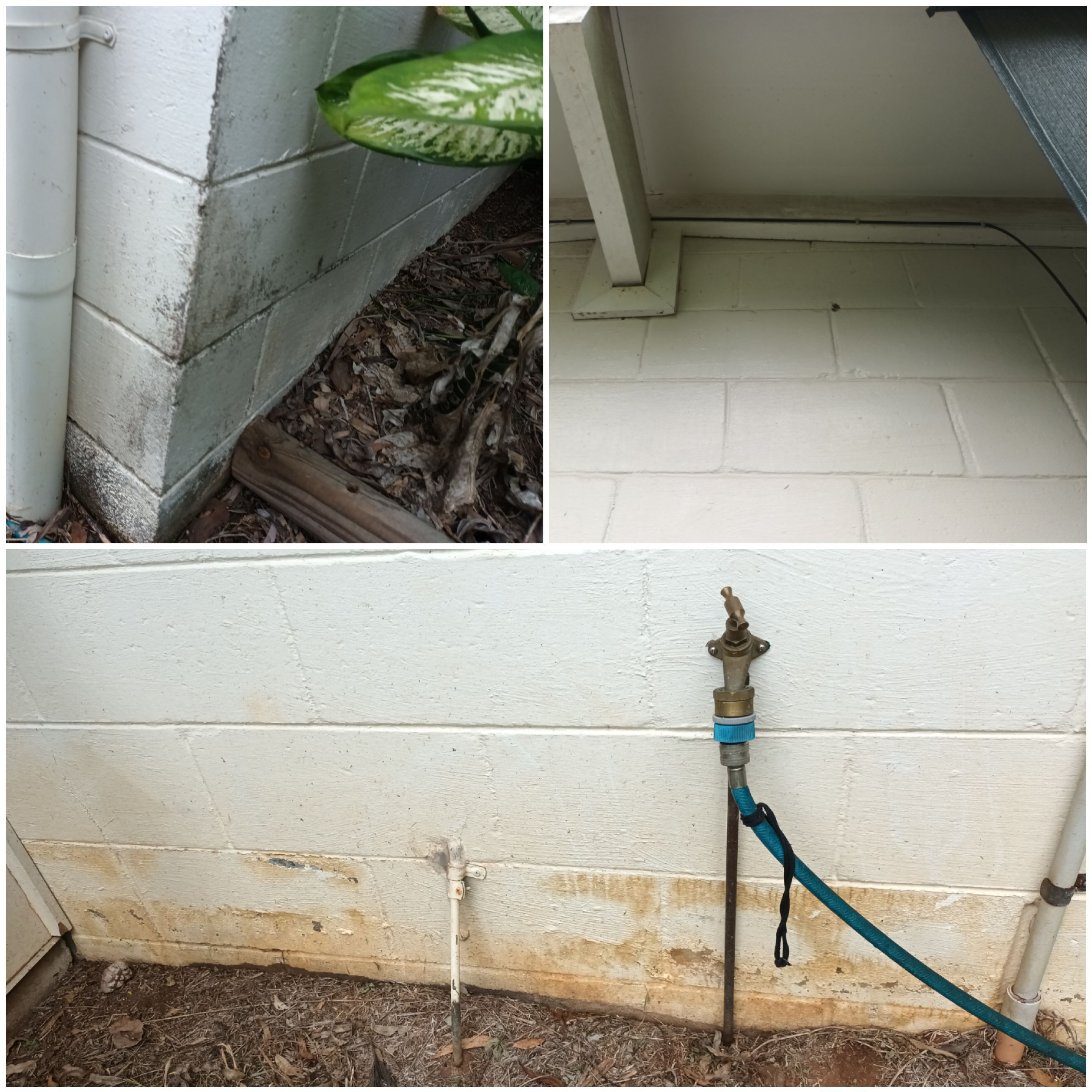 How to seal 1970s besser block wall and ... | Bunnings Workshop community