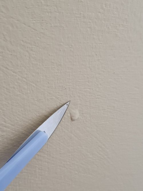 How to remove thick paint deposits after... | Bunnings Workshop community